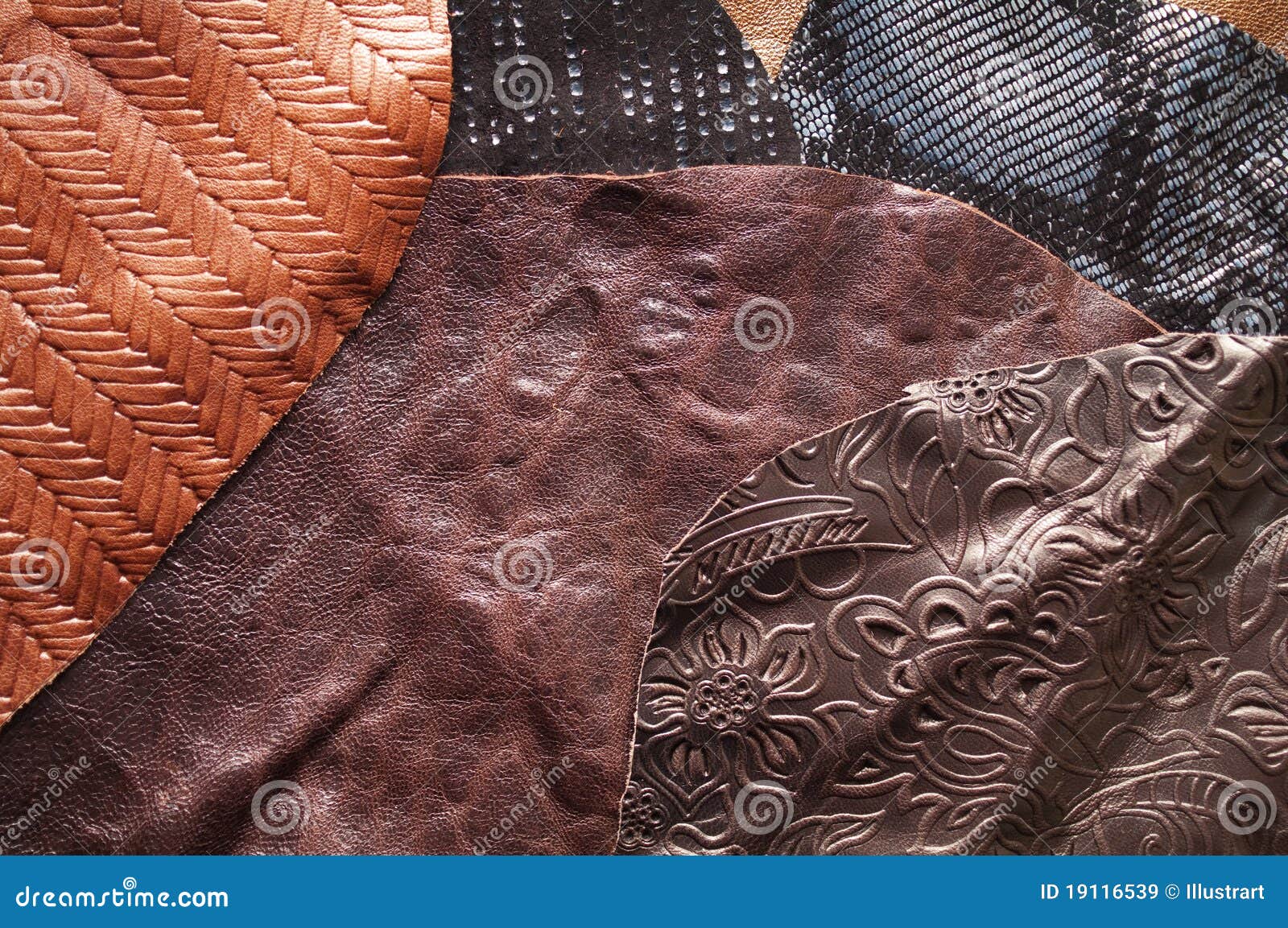 Leather samples stock image. Image of leathers, abstract - 19116539