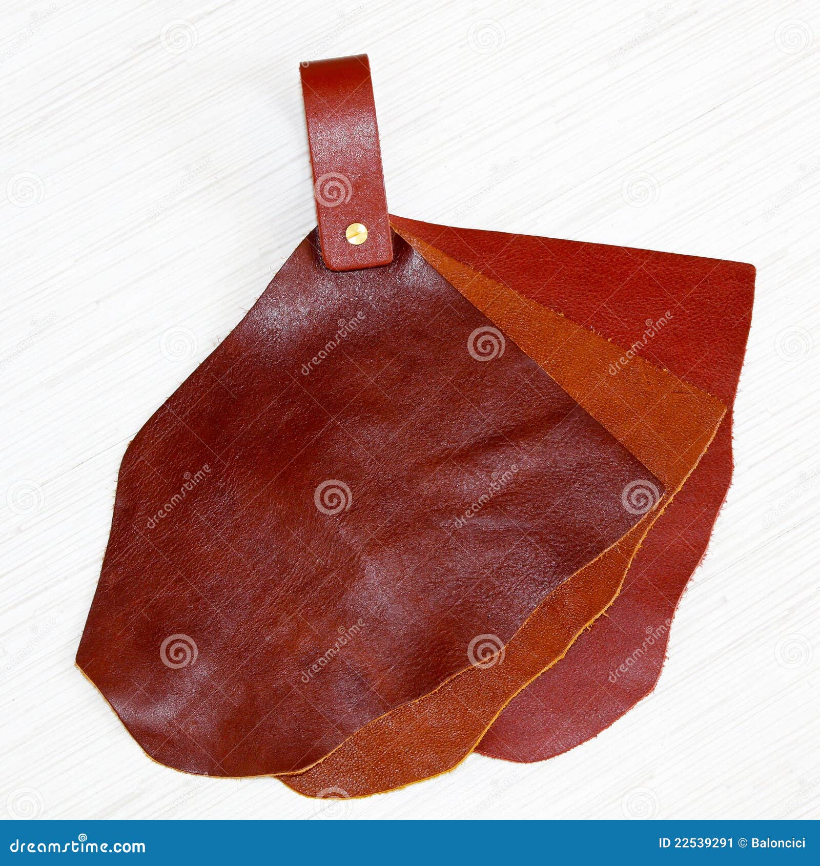 Leather samples stock image. Image of samples, natural - 22539291