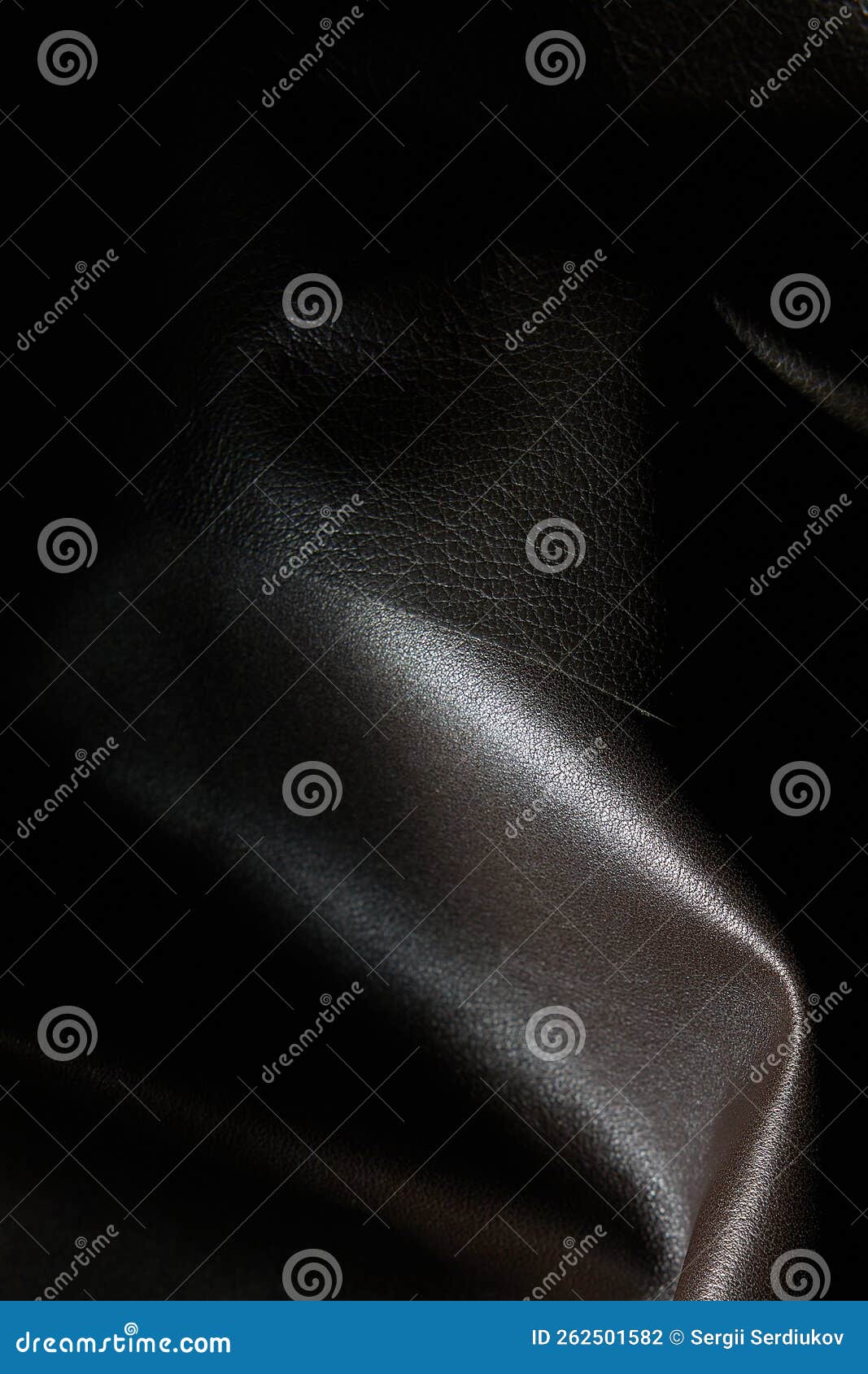 Leather Samples of Different Textures for Tailoring Stock Photo - Image ...