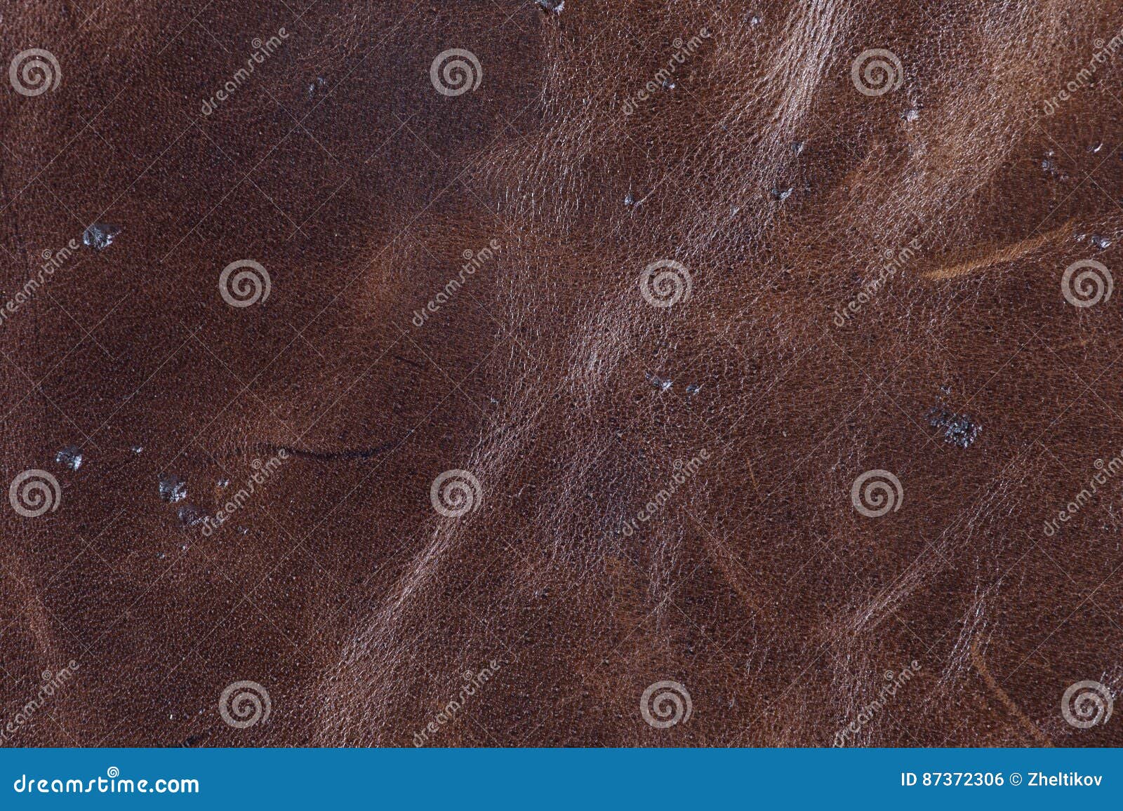 Leather, skin, texture stock photo. Image of backgrounds - 87372306