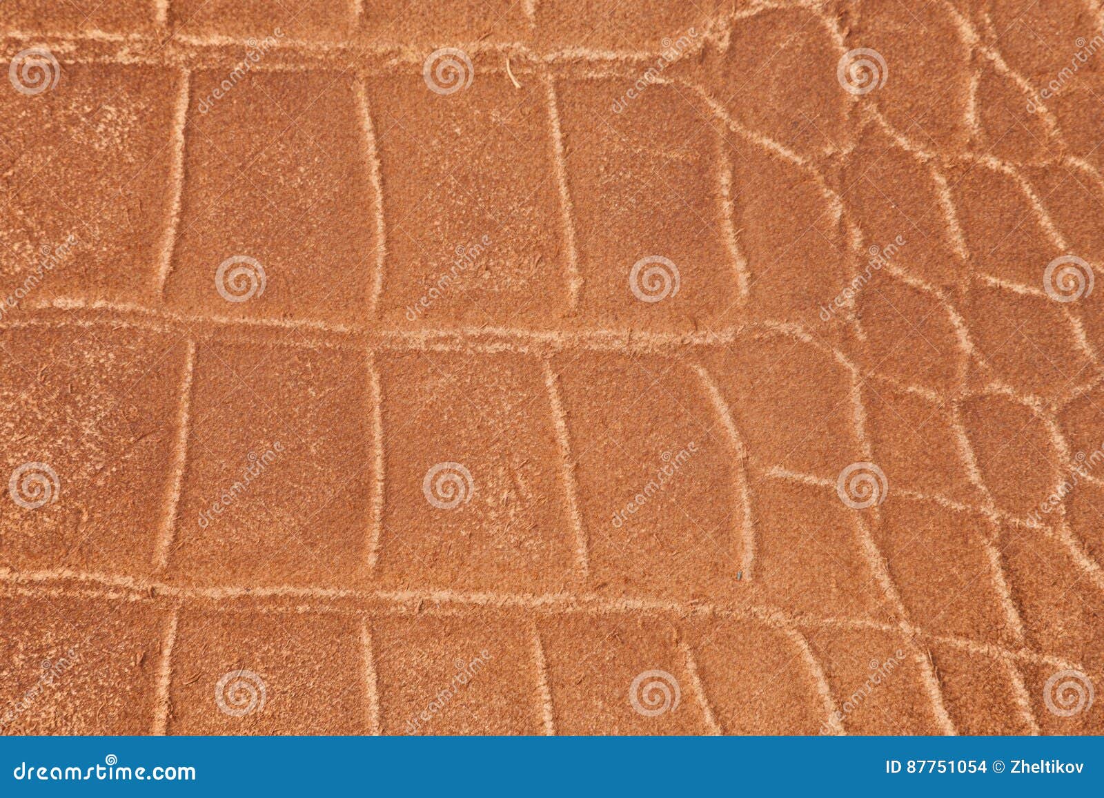 Leather, skin, texture stock photo. Image of elegance - 87751054