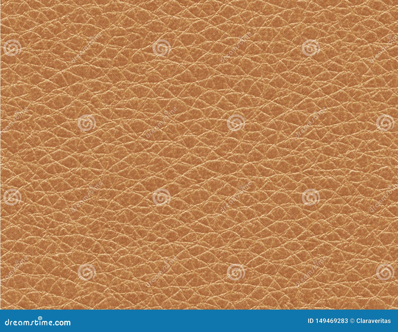 Leather Skin Texture Pattern Stock Image - Image of body, macro: 149469283