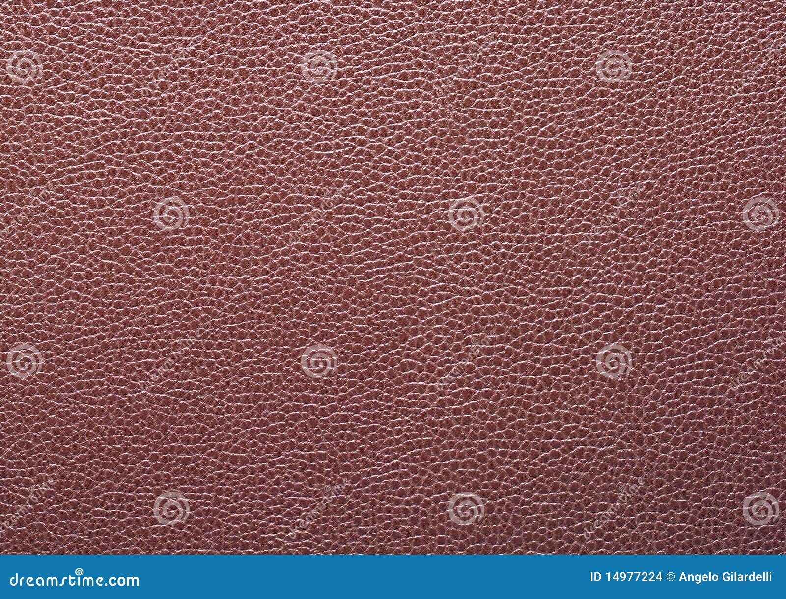 Leather surface stock photo. Image of close, pattern - 14977224