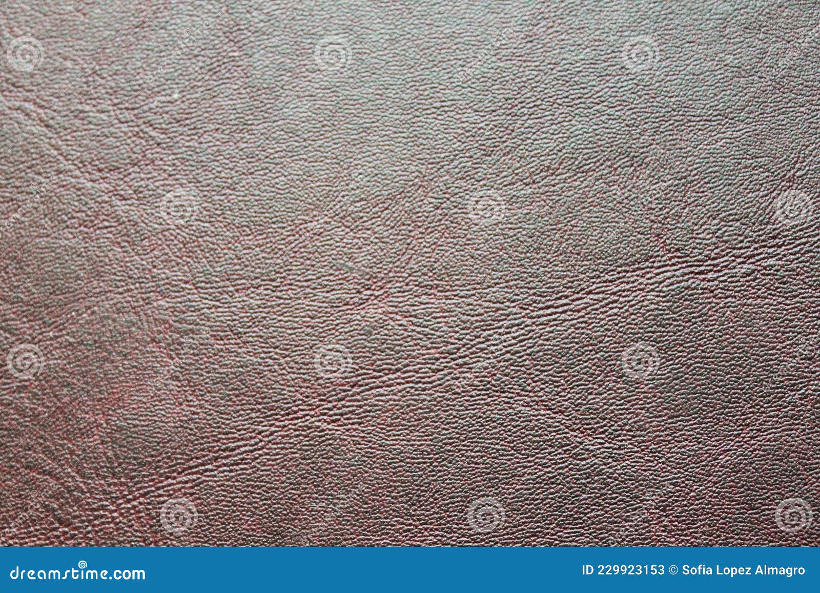 Leather Surface Design Backdrop Rough Element Stock Image - Image of ...