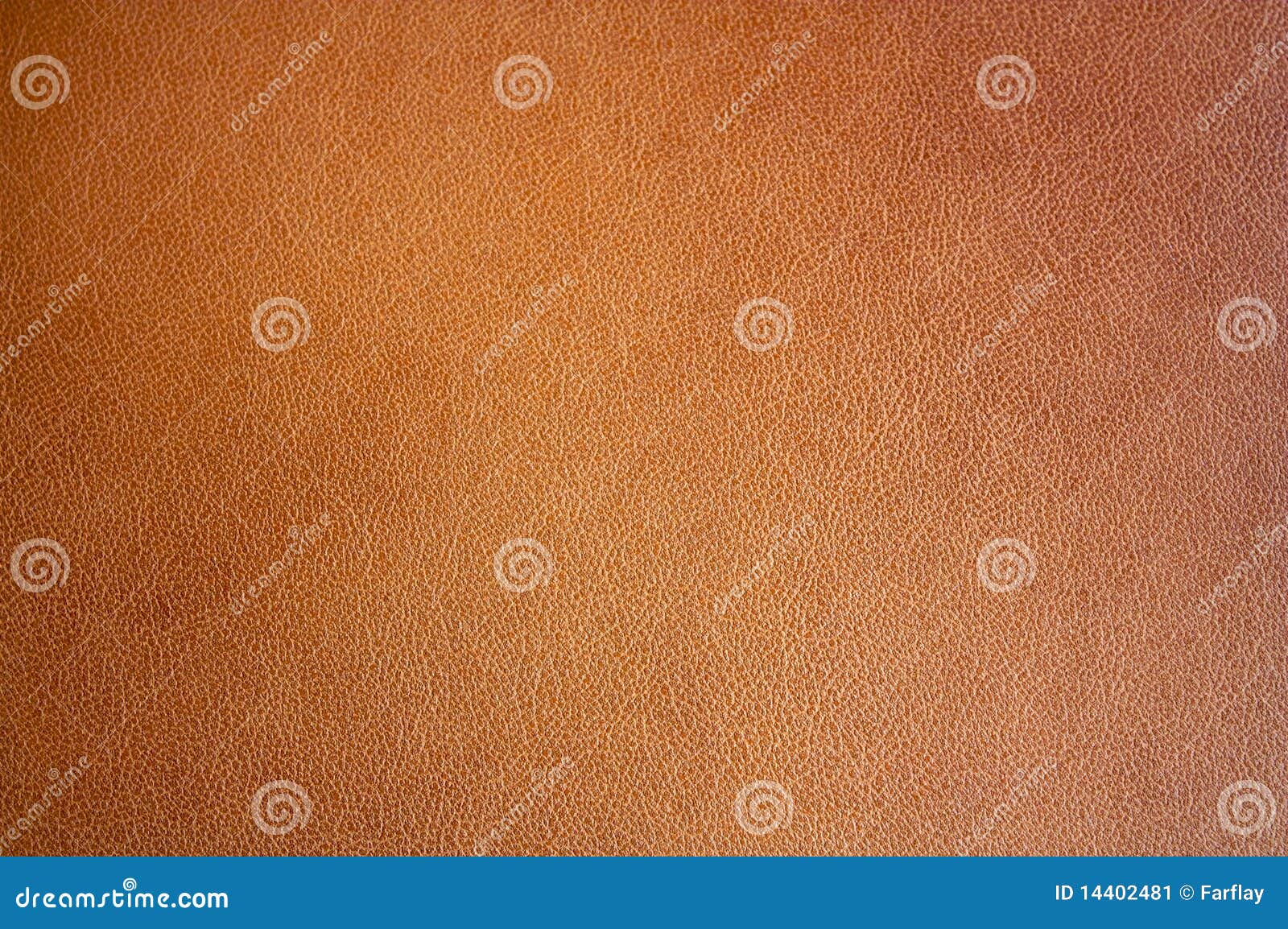 Leather texture stock image. Image of leather, texture - 14402481