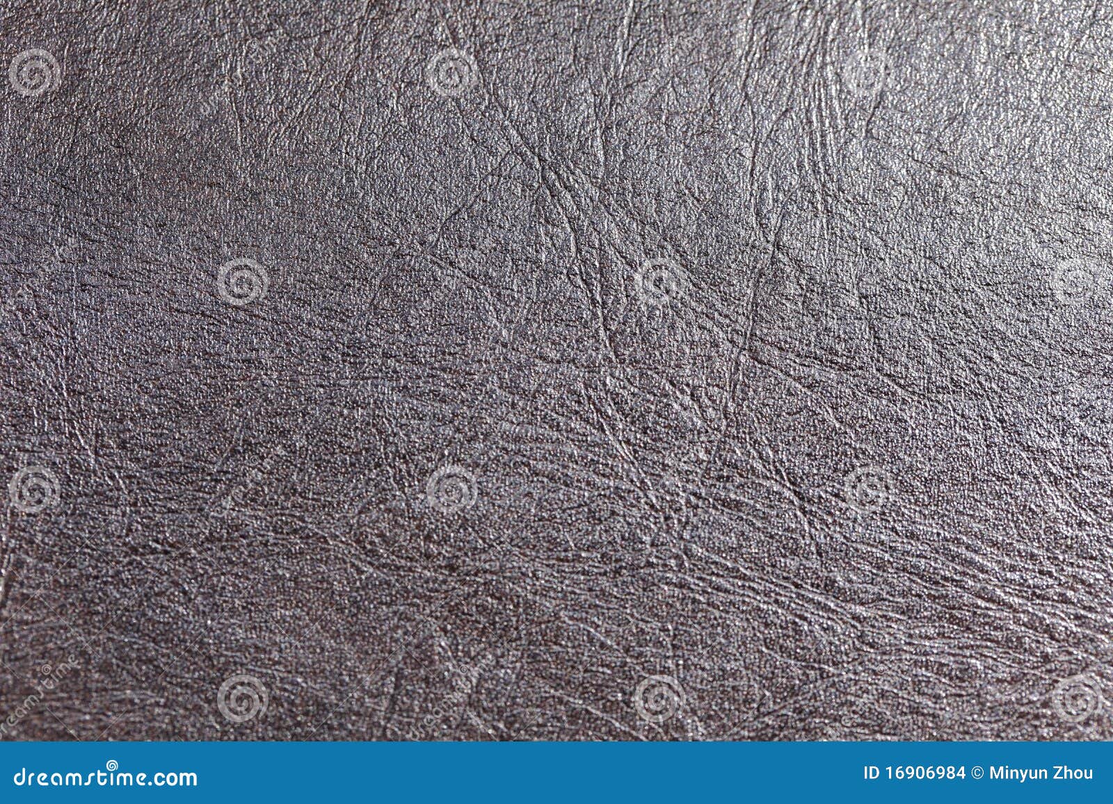 Leather texture stock photo. Image of expensive, leather - 16906984