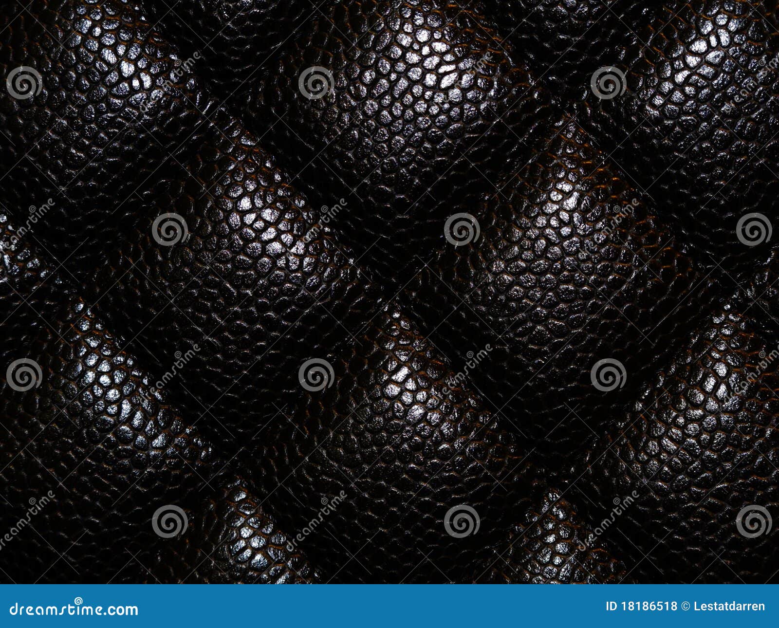 Leather Texture stock photo. Image of animal, luxury - 18186518