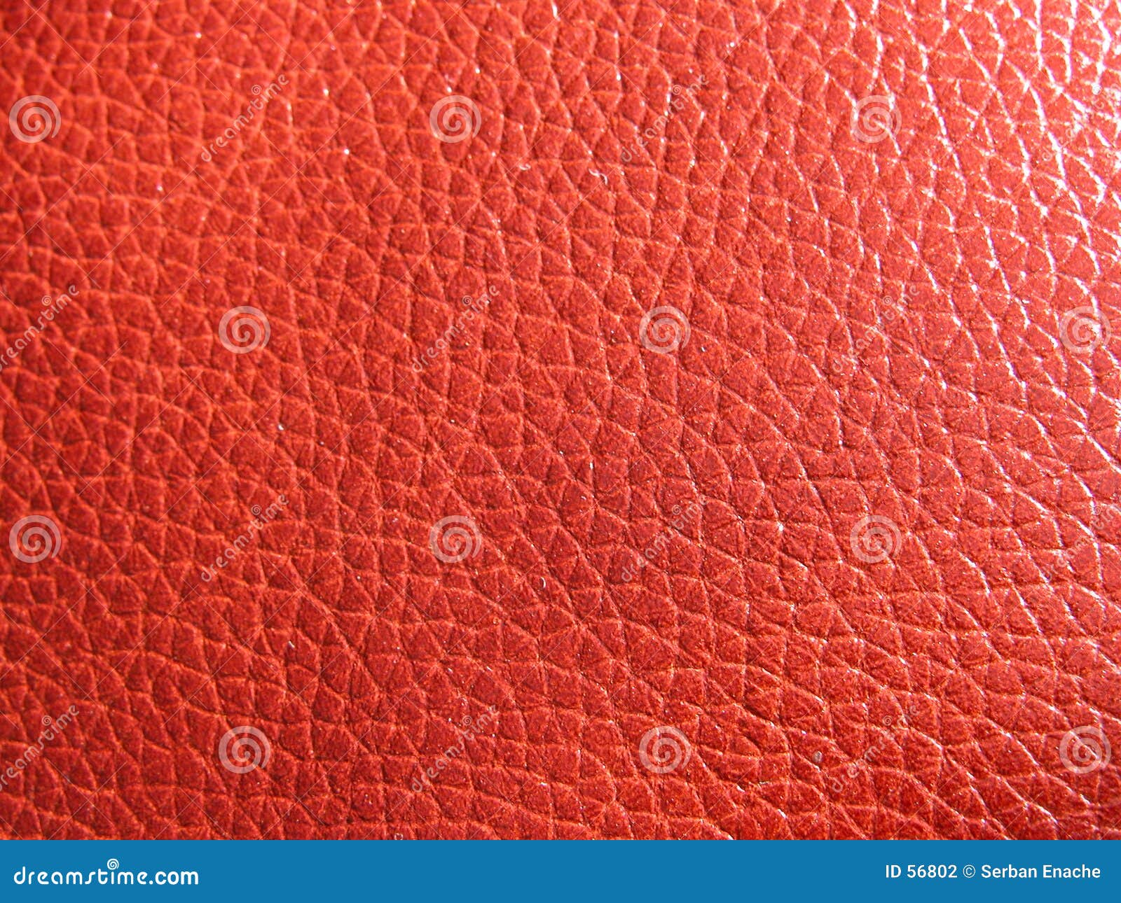 Leather texture 2 stock photo. Image of luxury, protection - 56802