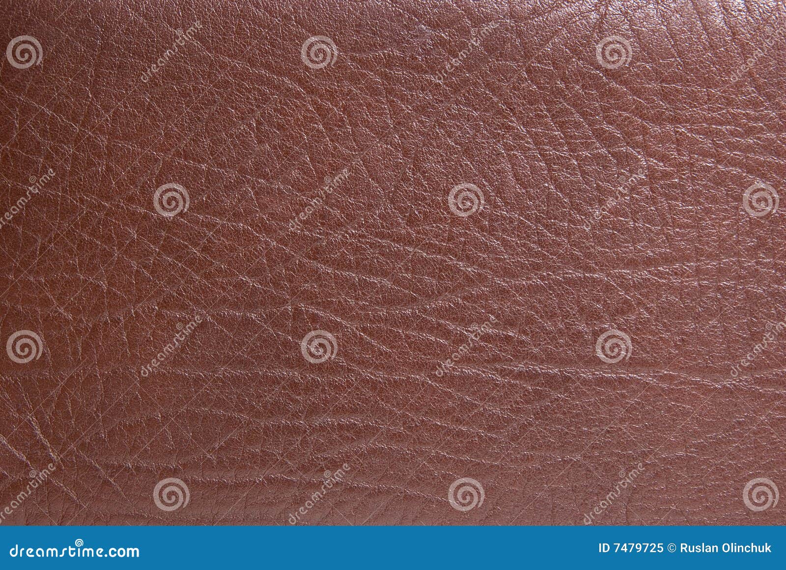 Leather texture stock image. Image of natural, animal - 7479725