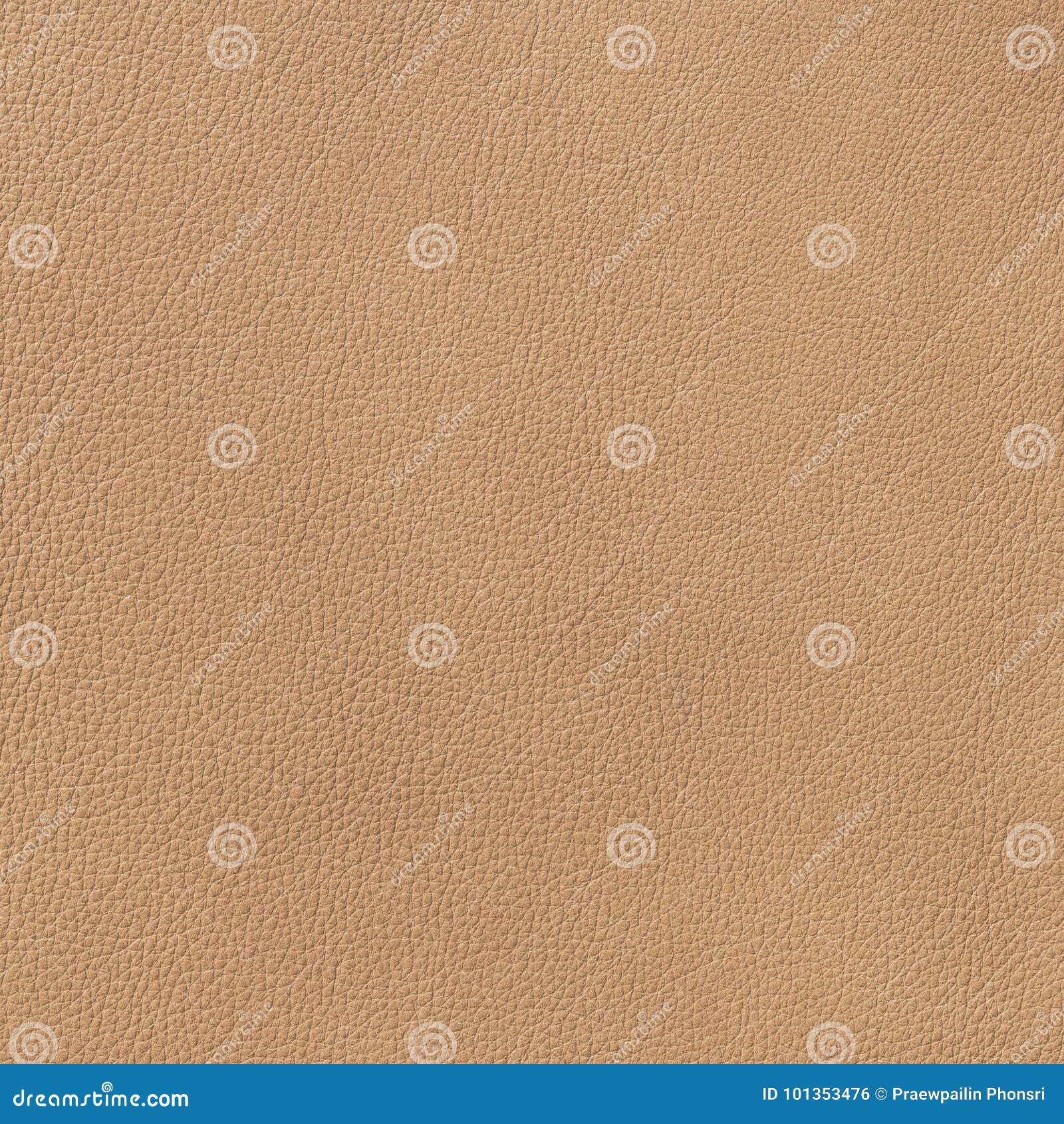 Leather Texture Background for Fashion Design. Stock Photo - Image of ...