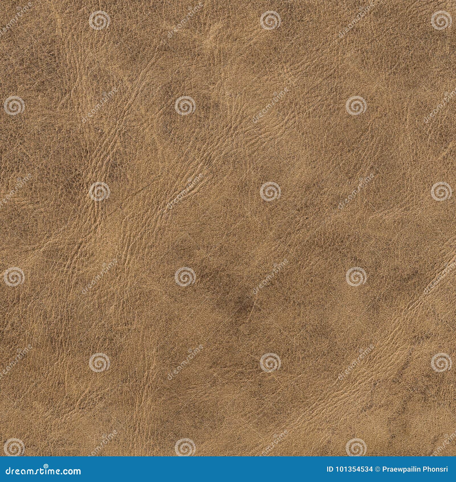 Leather Texture Background for Fashion Design. Stock Photo - Image of ...
