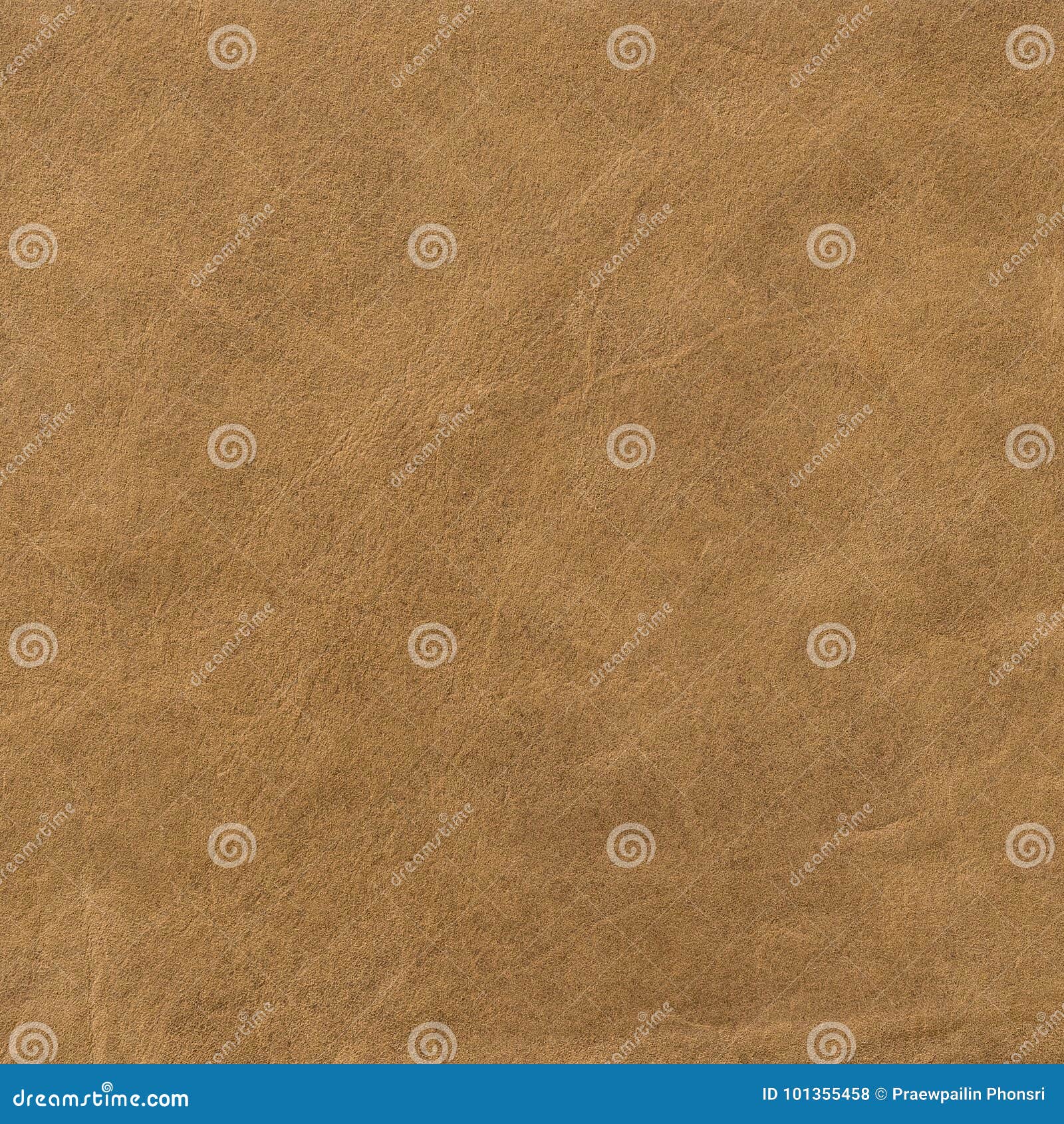 Leather Texture Background for Fashion Design. Stock Photo - Image of ...
