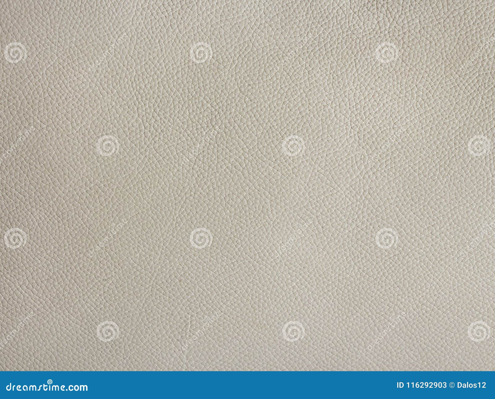 Leather Texture. Closeup of Skin Surface Stock Image - Image of chic ...