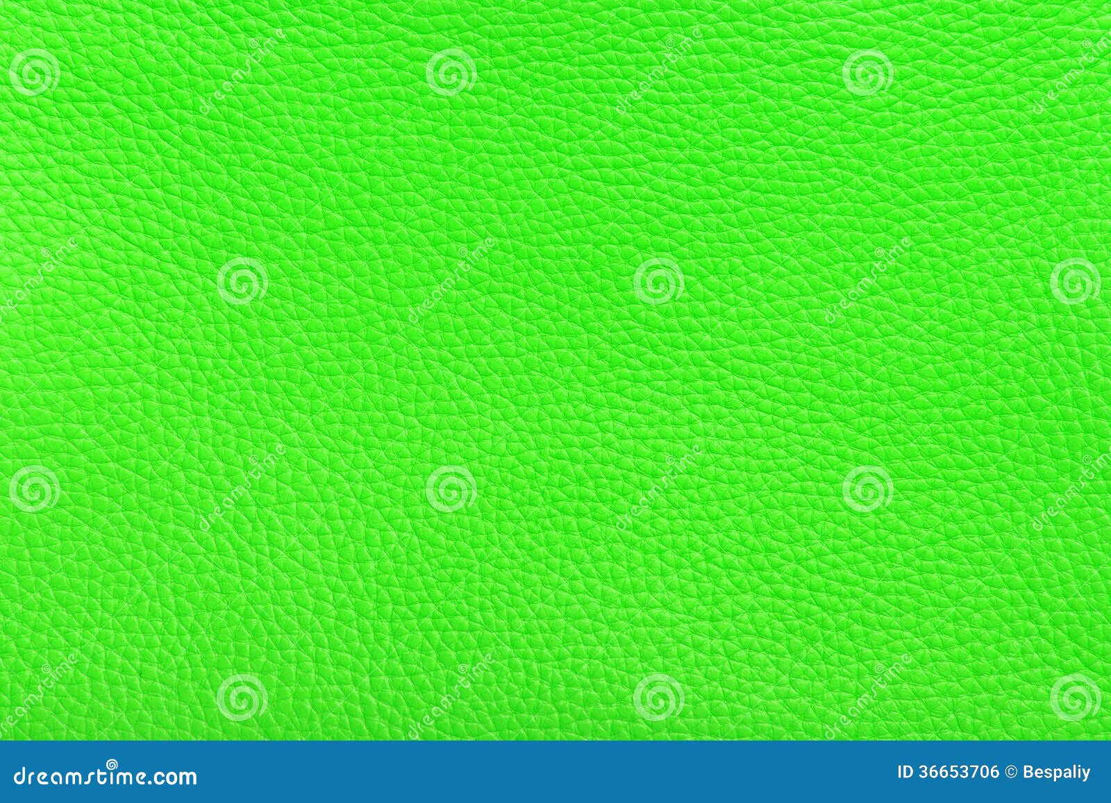 Gem Green Color Pictures And Images - RGB Color Hex Code [#40FF40 - 77%]