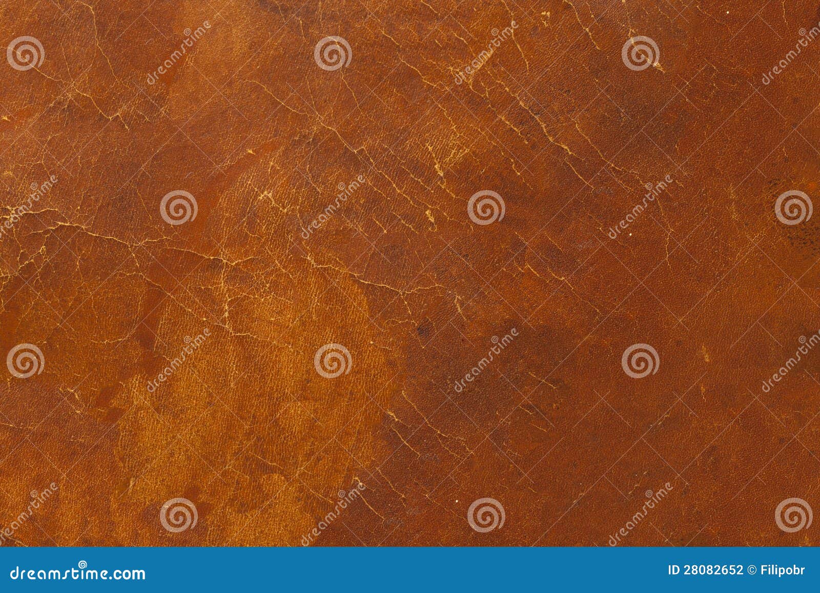 Leather Texture of a Large Leather Surface. Stock Photo - Image of hide ...