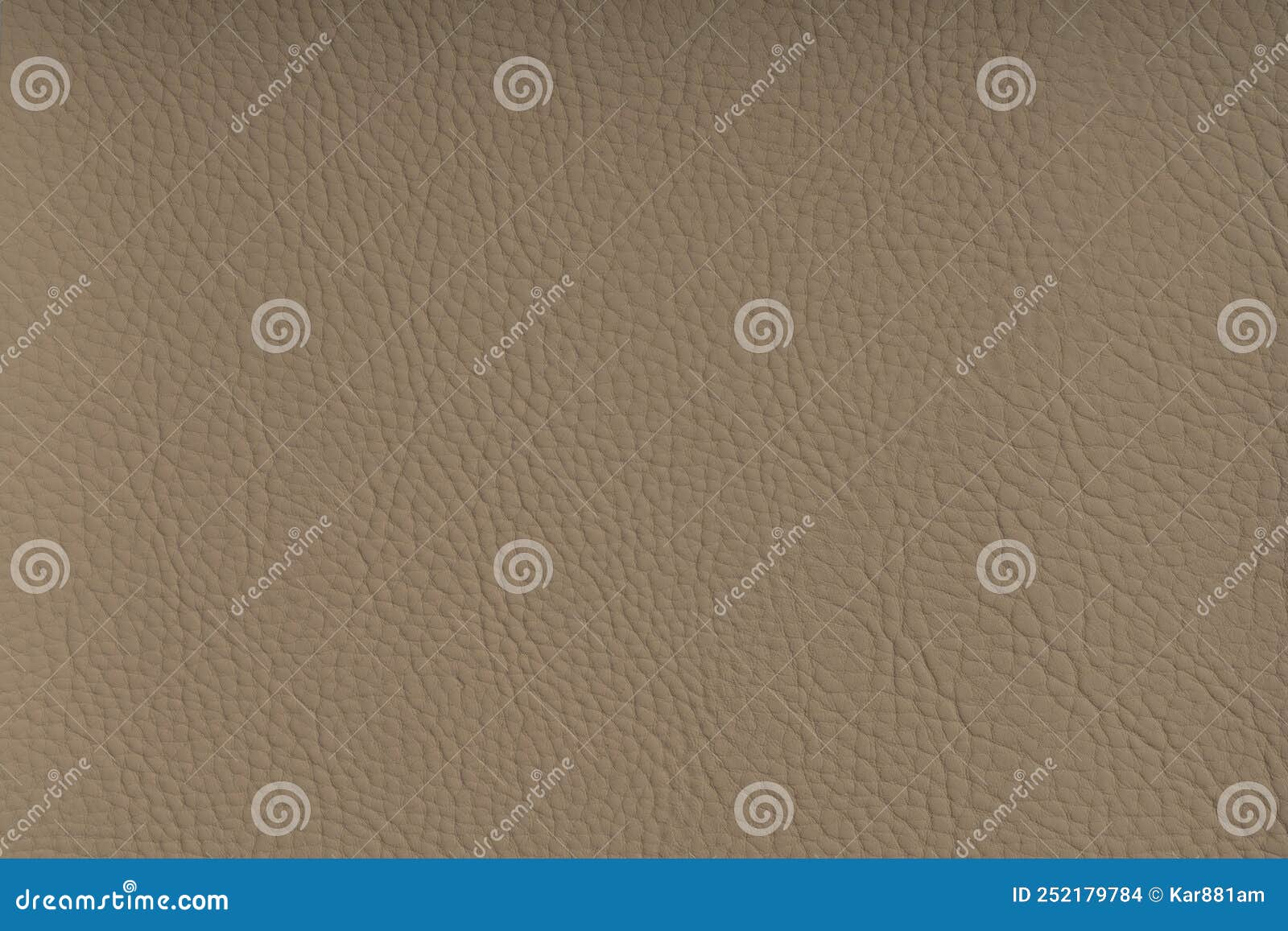 Leather Texture Seamless, High Quality Stock Photo - Image of macro ...