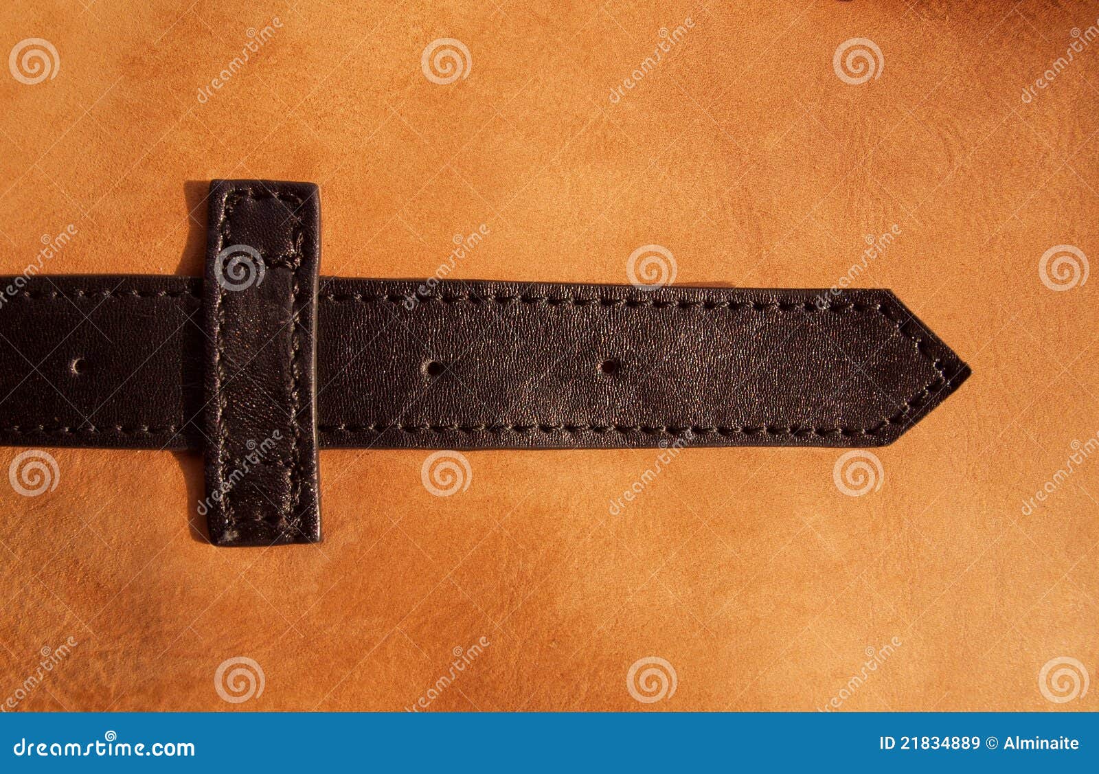 Leather Textured Belt Detail Stock Image - Image of plaque, line: 21834889