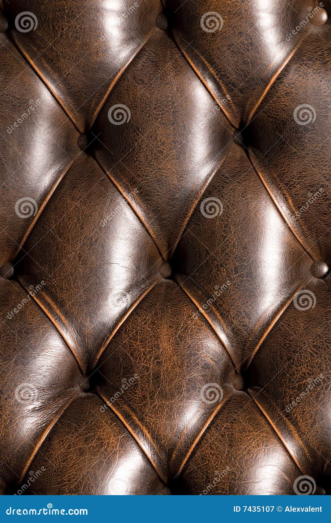 Leather upholstery stock image. Image of brown, registration - 7435107