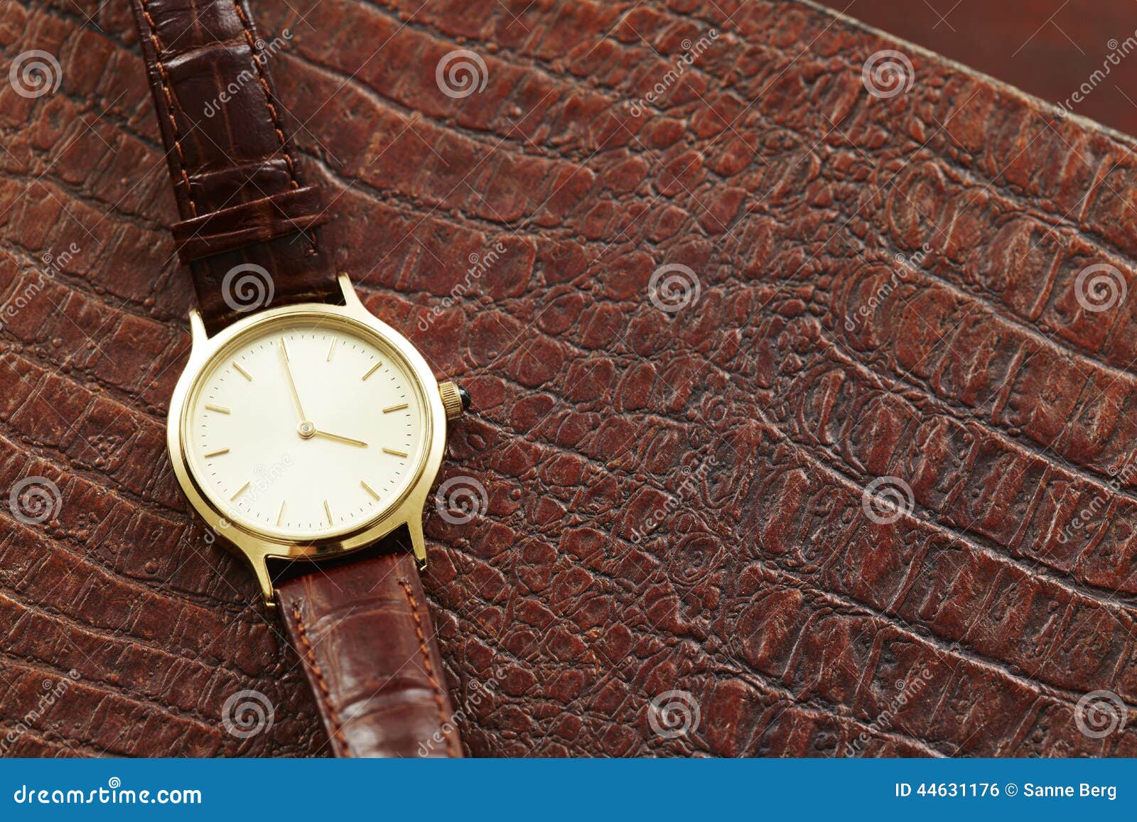 Leather watch stock photo. Image of wristwatch, texture - 44631176