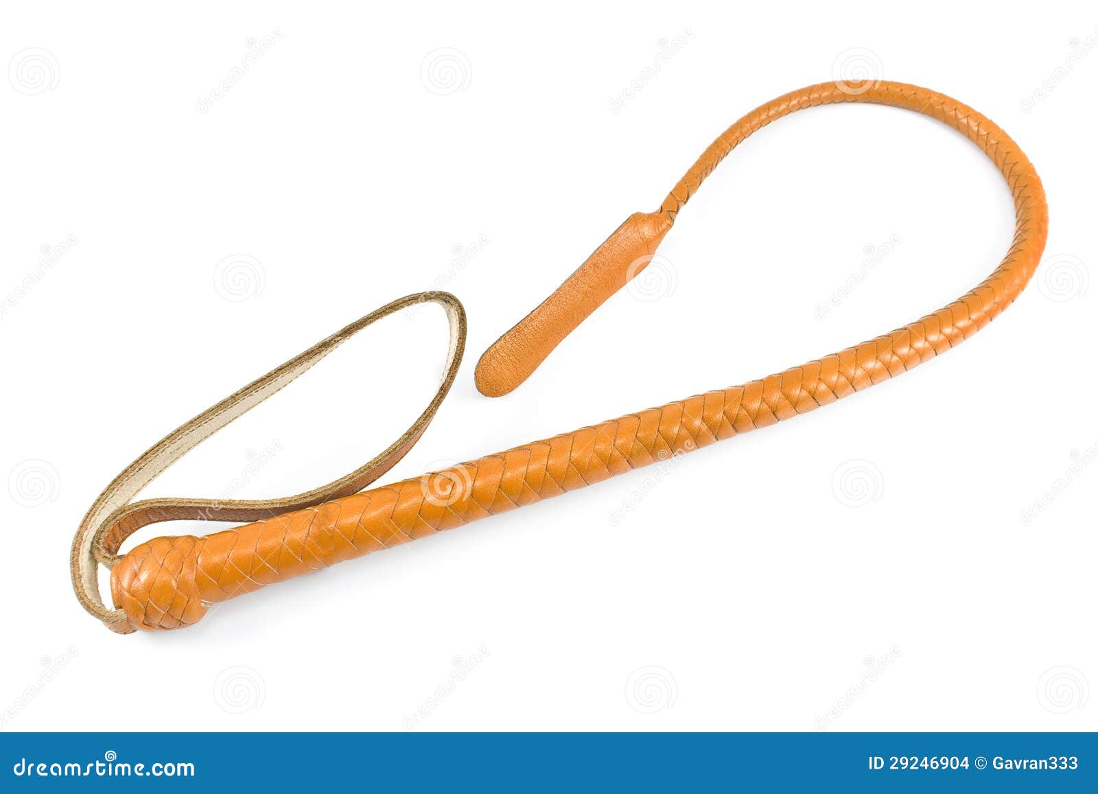 Leather whip stock photo. Image of braided, adventurous - 29246904