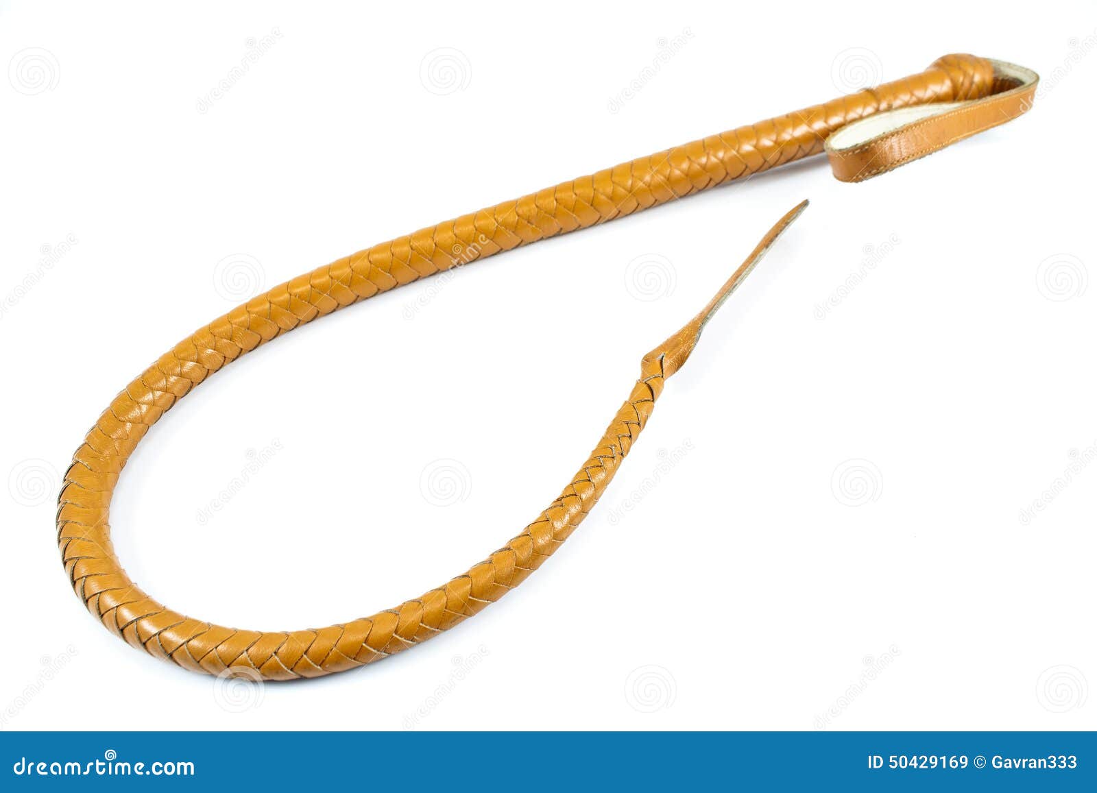 Leather whip stock image. Image of slave, seize, bull - 50429169
