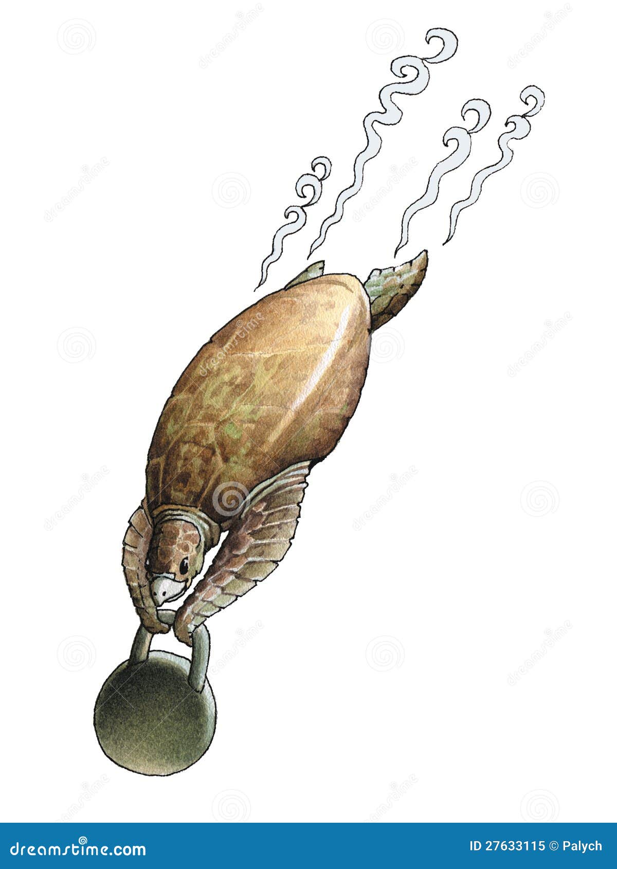 Leatherback Turtle or Lute Turtle Stock Illustration - Illustration of ...