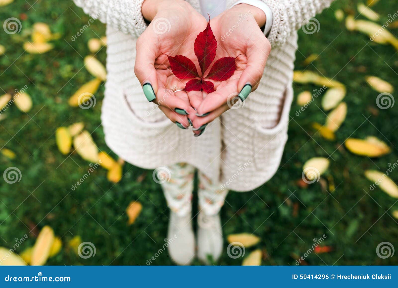 Leave in hands stock photo. Image of green, gold, october - 50414296