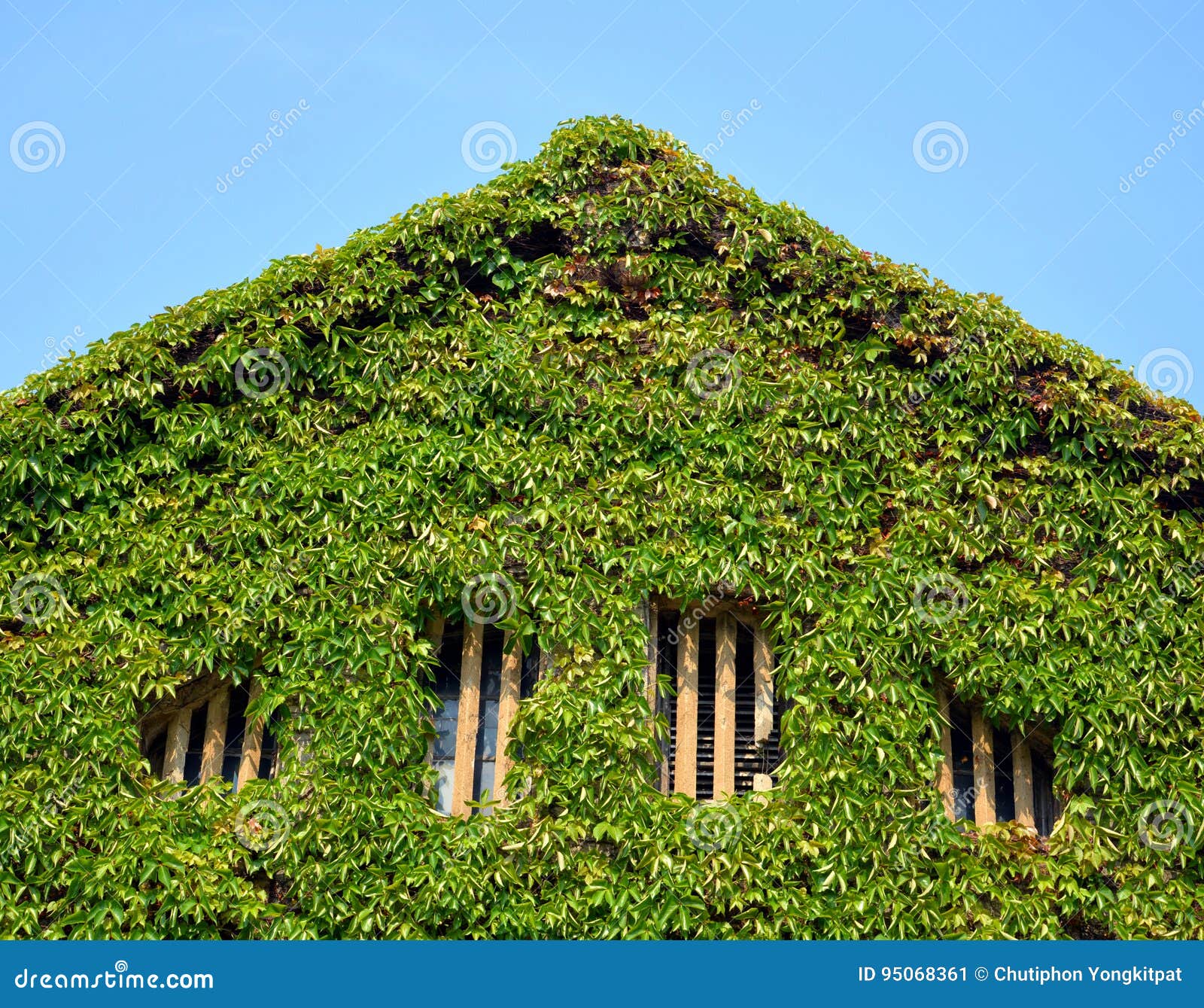Leave house stock image. Image of roof, nature, plants - 95068361