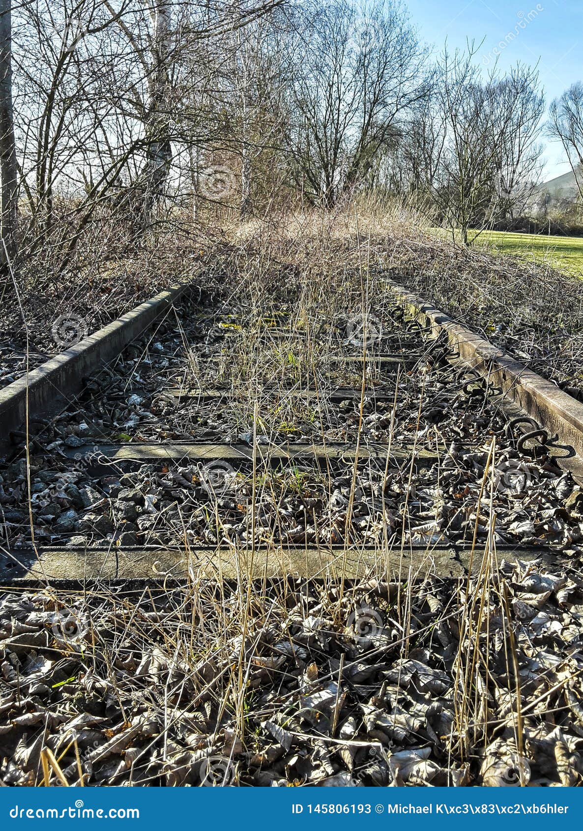 Leave Old Rusted Railway Line with Grass Inside Editorial Stock Photo ...