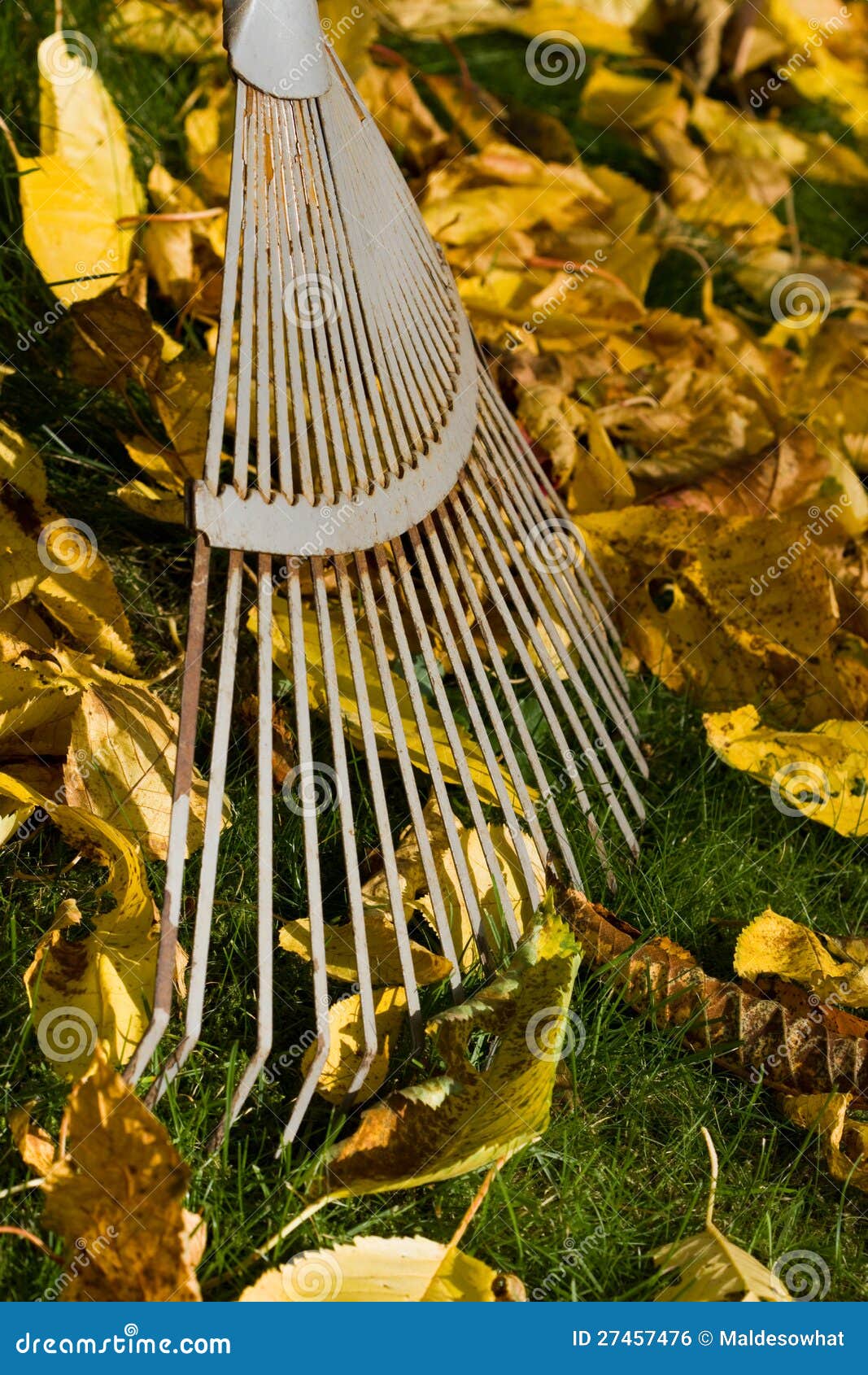 Leave Rake, Lopper, Hedge Shear, Scissors, Broom Royalty-Free Stock ...