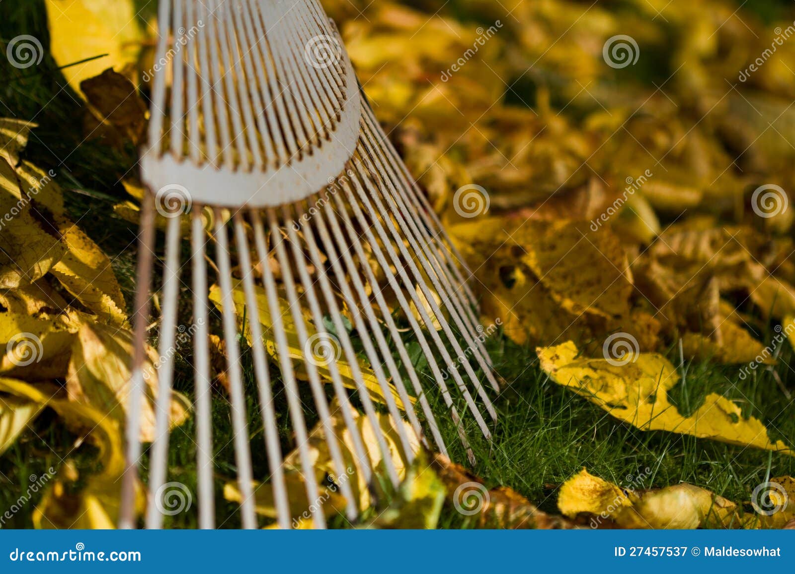 Leave Rake, Lopper, Hedge Shear, Scissors, Broom Royalty-Free Stock ...