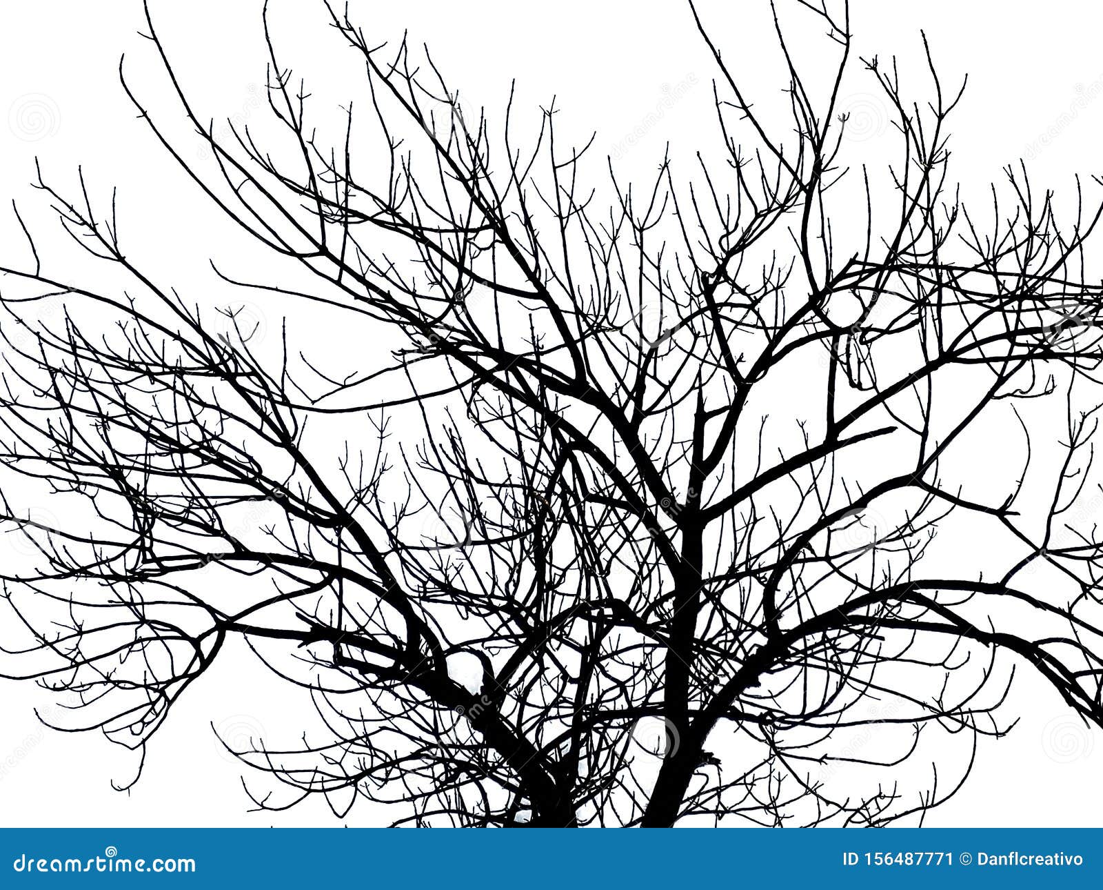 Leave-less Tree Background stock illustration. Illustration of isolated ...