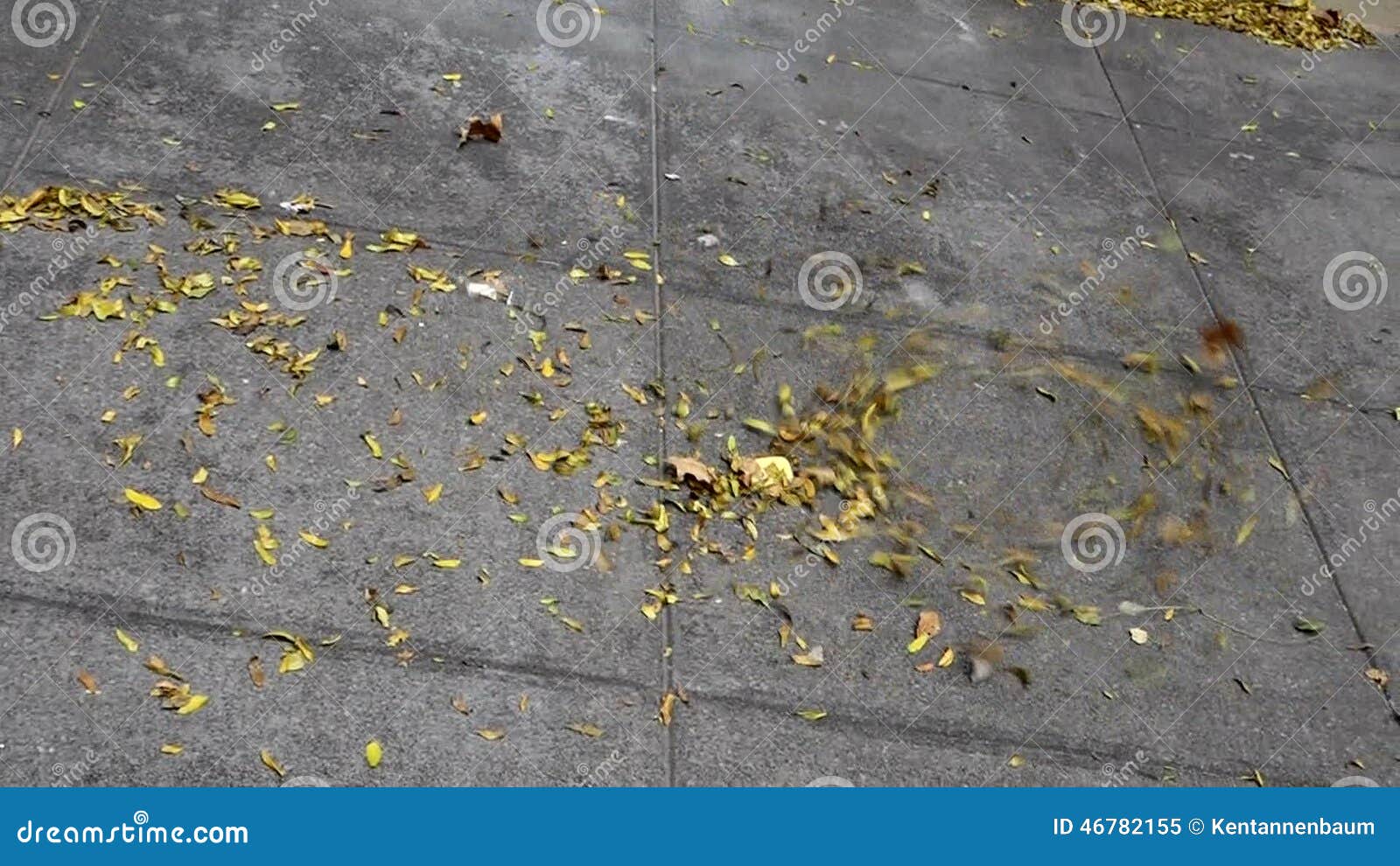 Leaves in vortex stock video. Video of cement, city, outdoor - 46782155