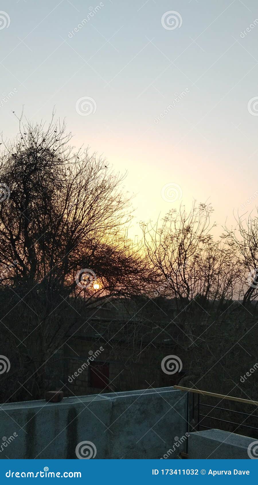 Leaveless Tree Branch Isolated On White Stock Photo | CartoonDealer.com ...