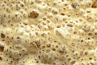 Leaven close-up stock image. Image of healthy, flour - 111732945