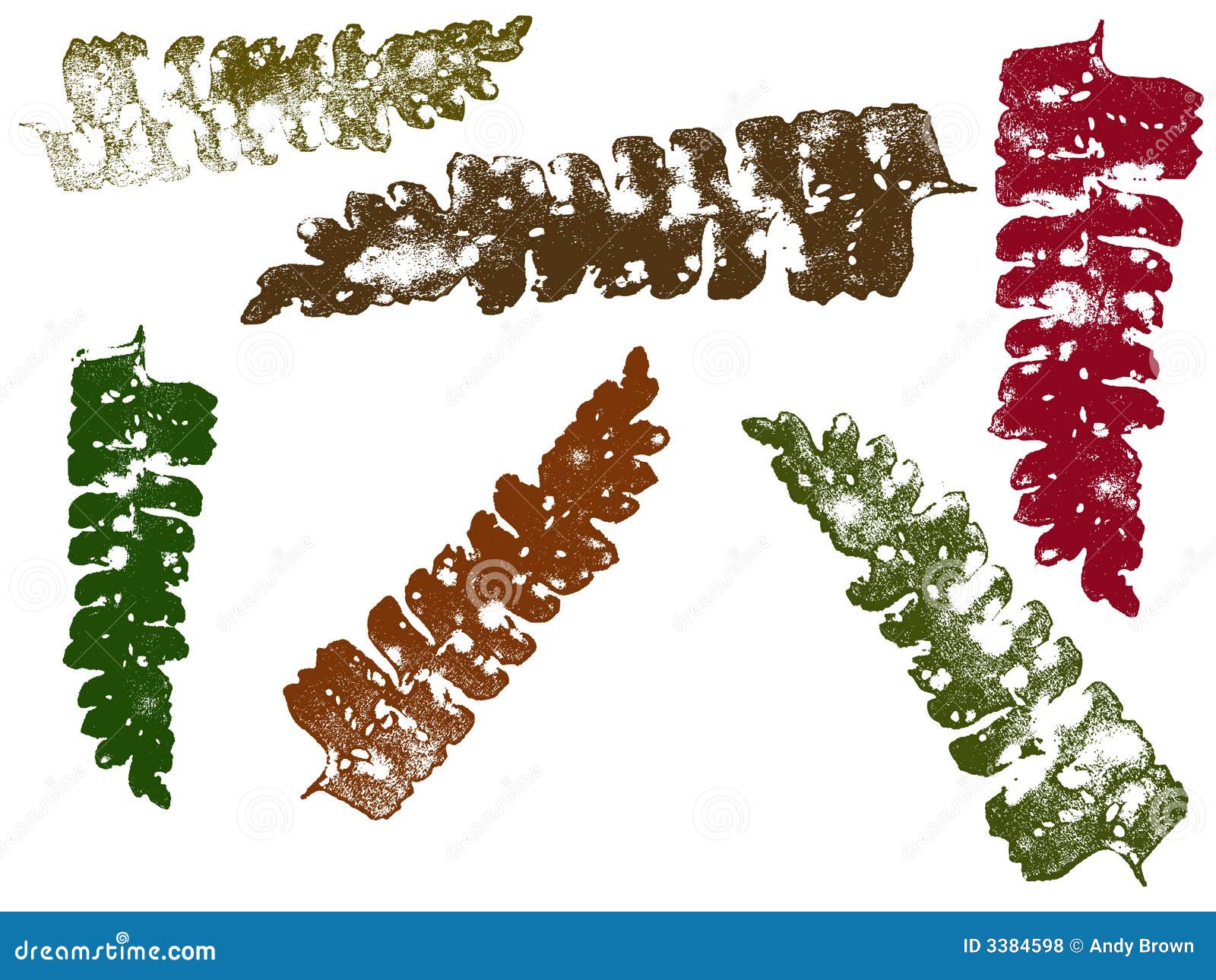 Leaves 7 stock vector. Illustration of fall, background - 3384598