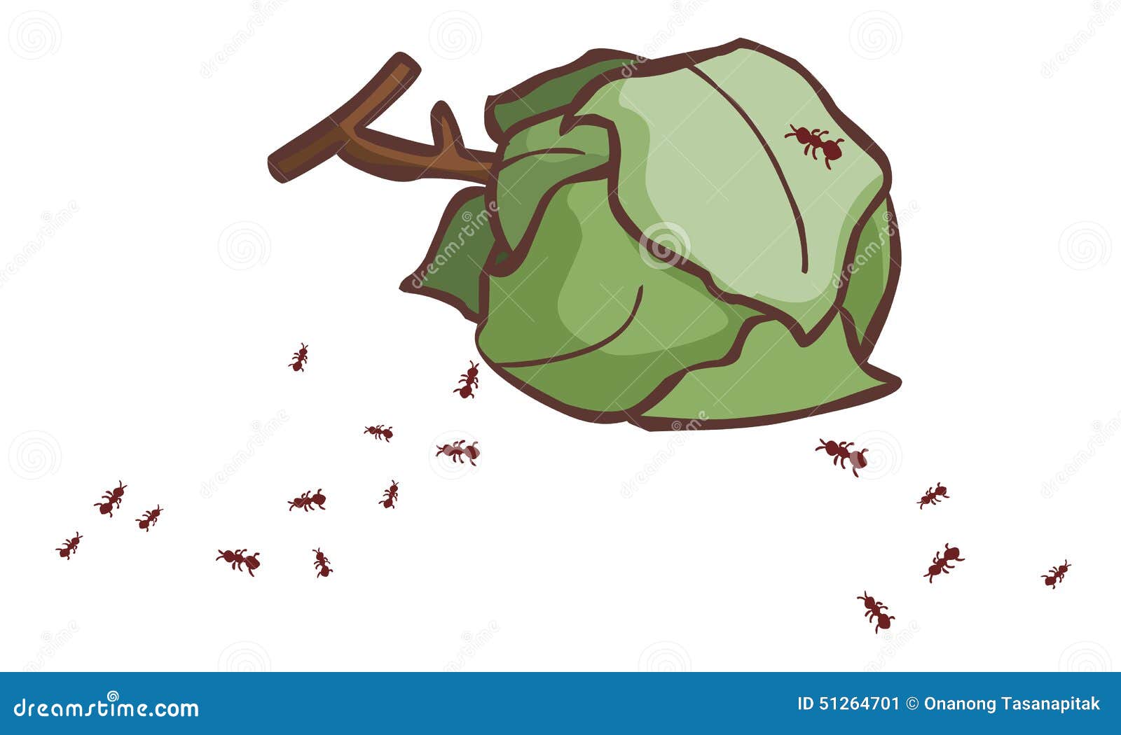 Leaves Ant Nests Cartoon Vector | CartoonDealer.com #51264701