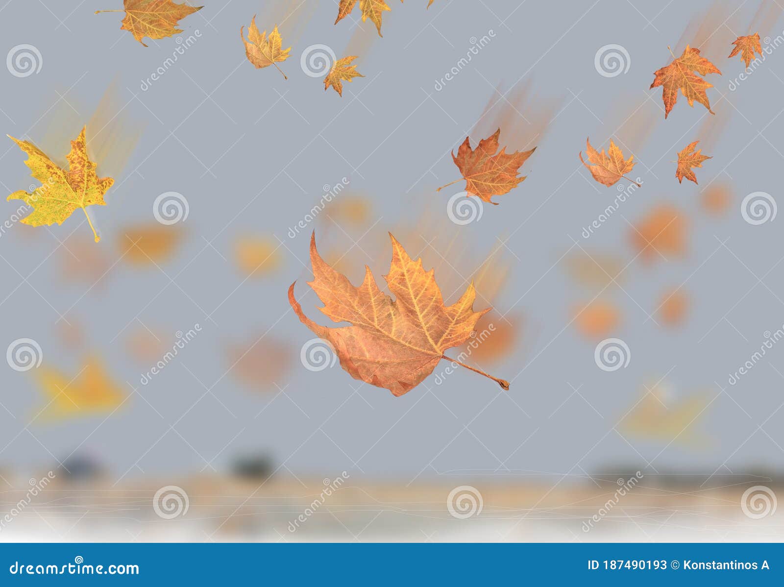 Leaves Autumn Falling Background November Stock Image - Image of ...