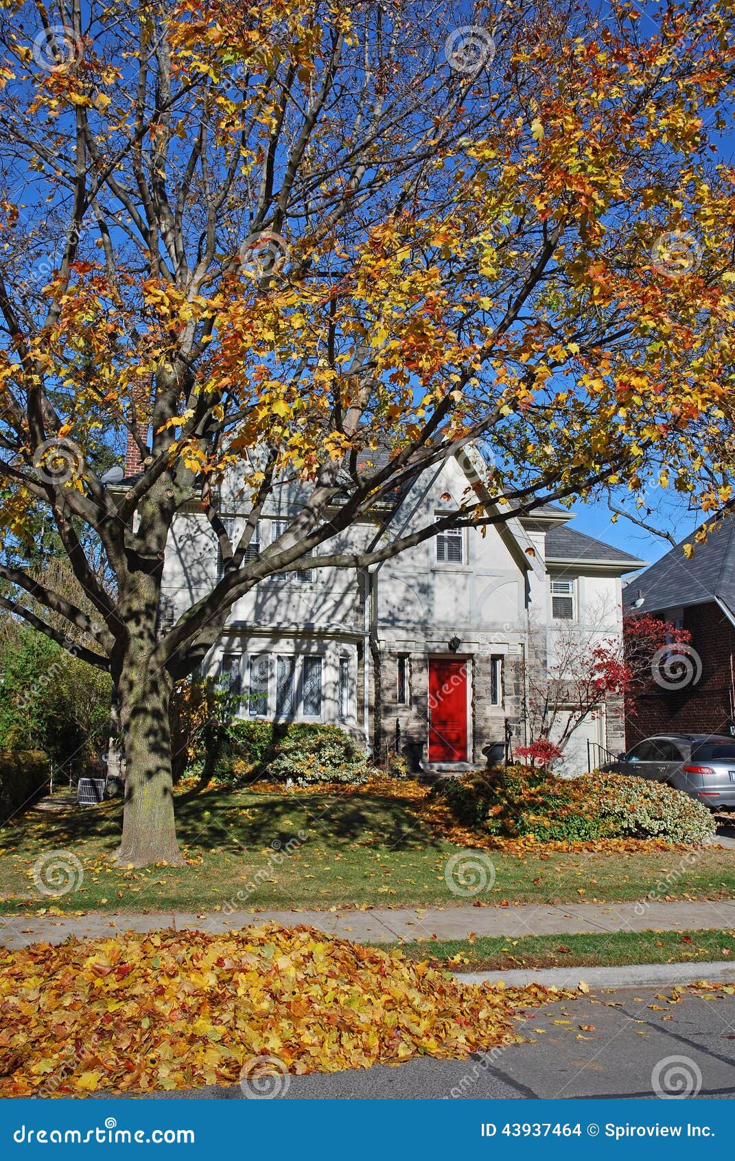 Leaves in autumn stock photo. Image of class, yard, leaves - 43937464