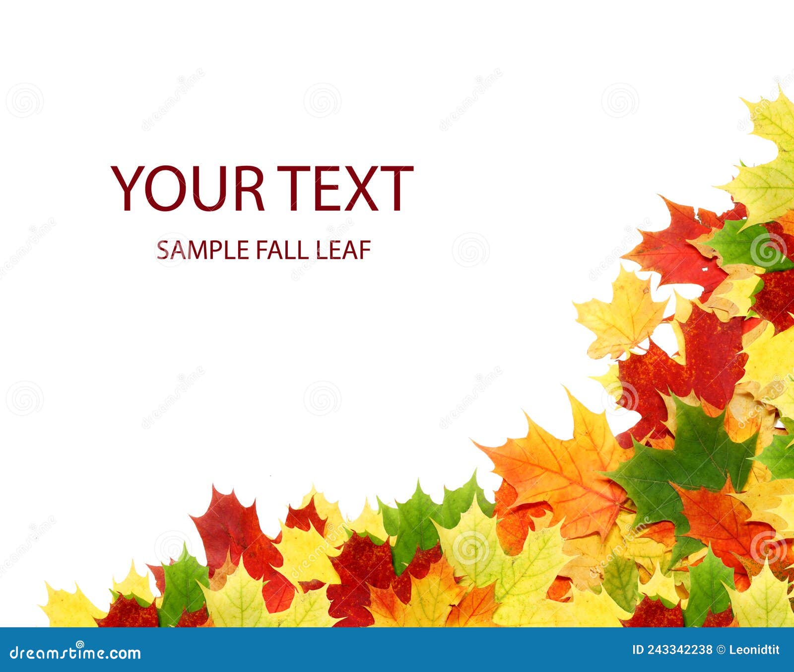 Leaves stock photo. Image of brown, maple, collage, bright - 243342238