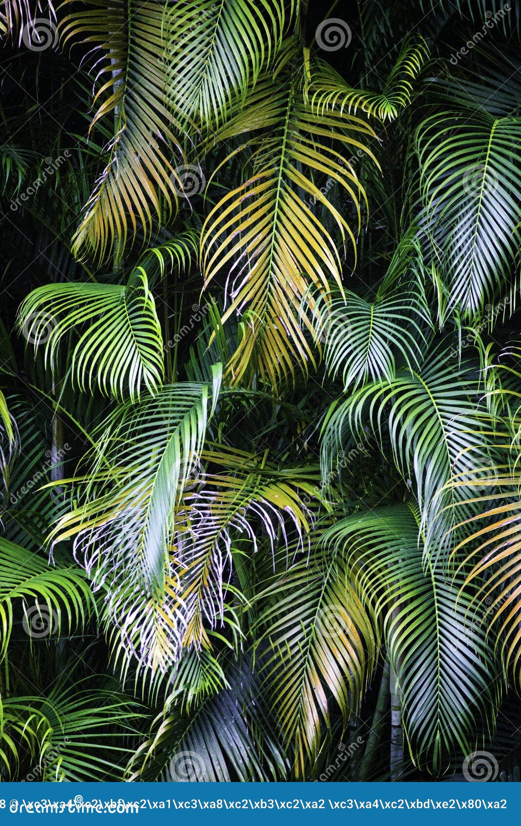 Leaves Background of Gold and Green Stock Photo - Image of season ...