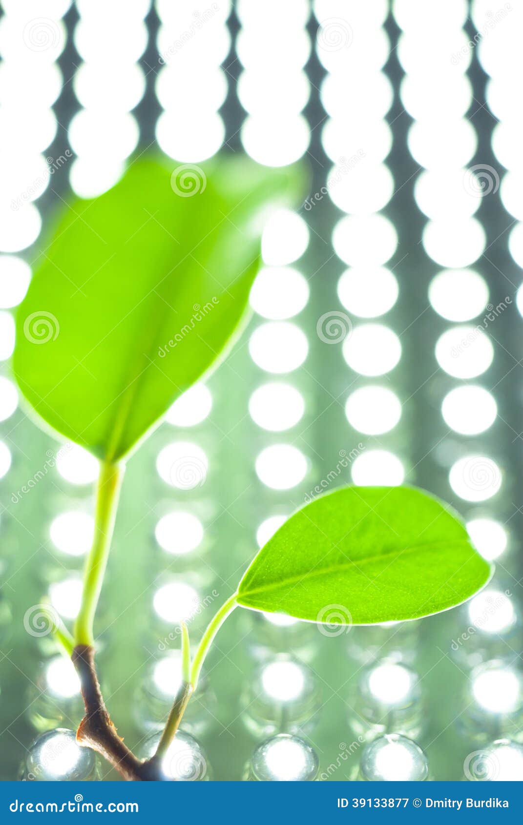 Leaves on a Background LEDs Stock Image - Image of ecology, energy ...