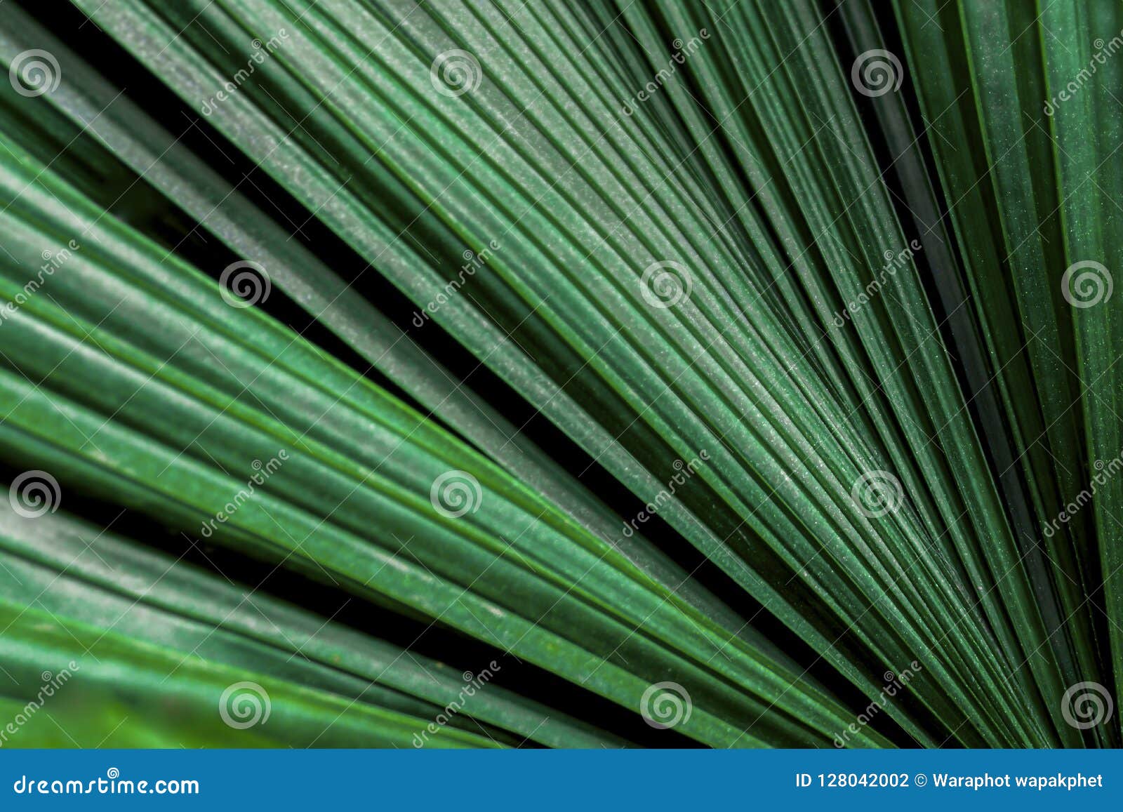 Leaves Background Pattern Texture Background Stock Photo - Image of ...