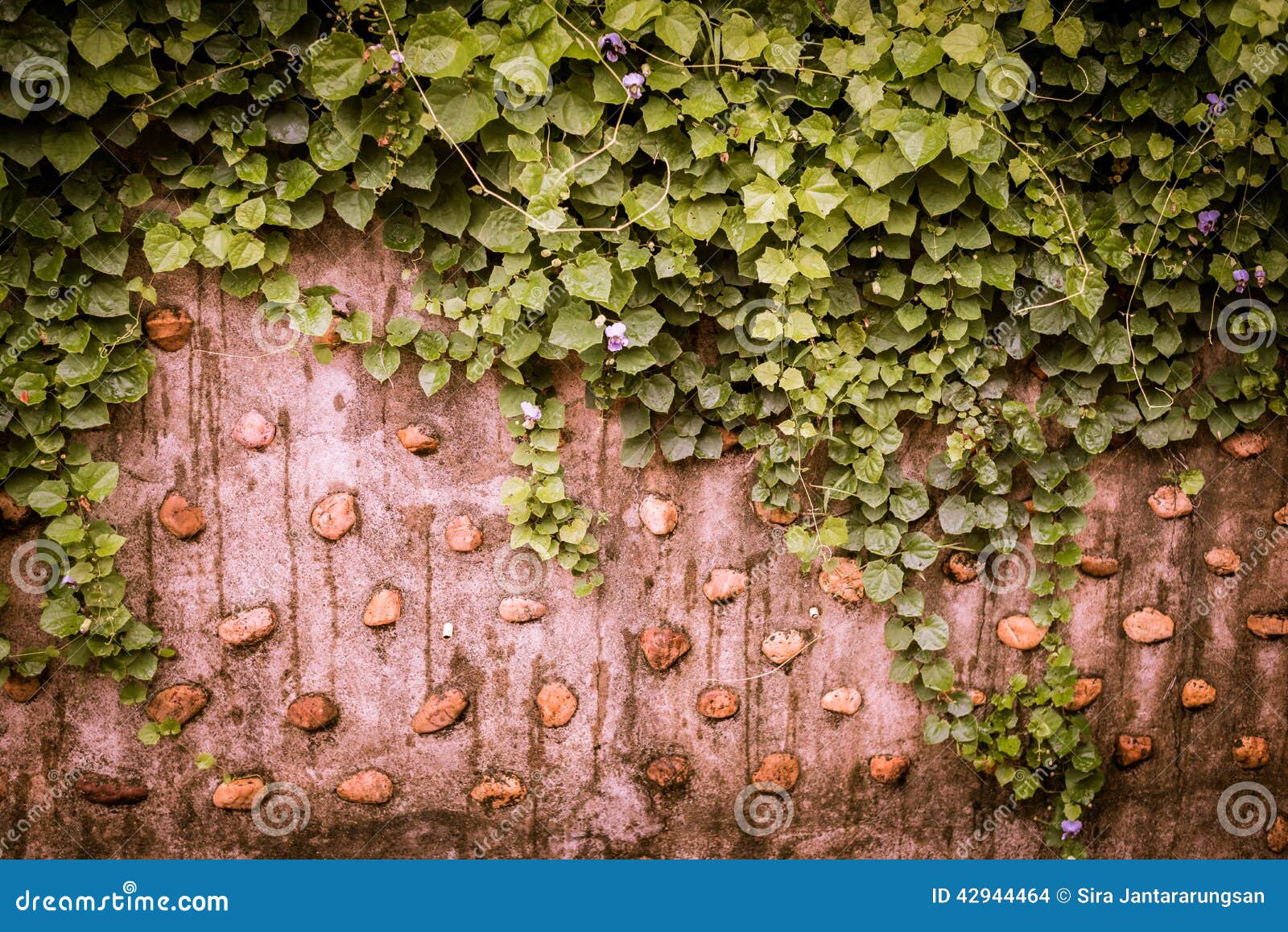 Leaves background texture stock photo. Image of fresh - 42944464
