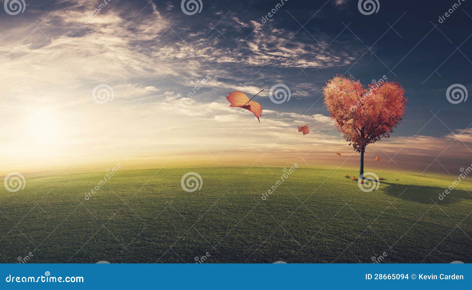 Leaves Blowing Off Heart Shaped Tree Stock Photo - Image of grass ...