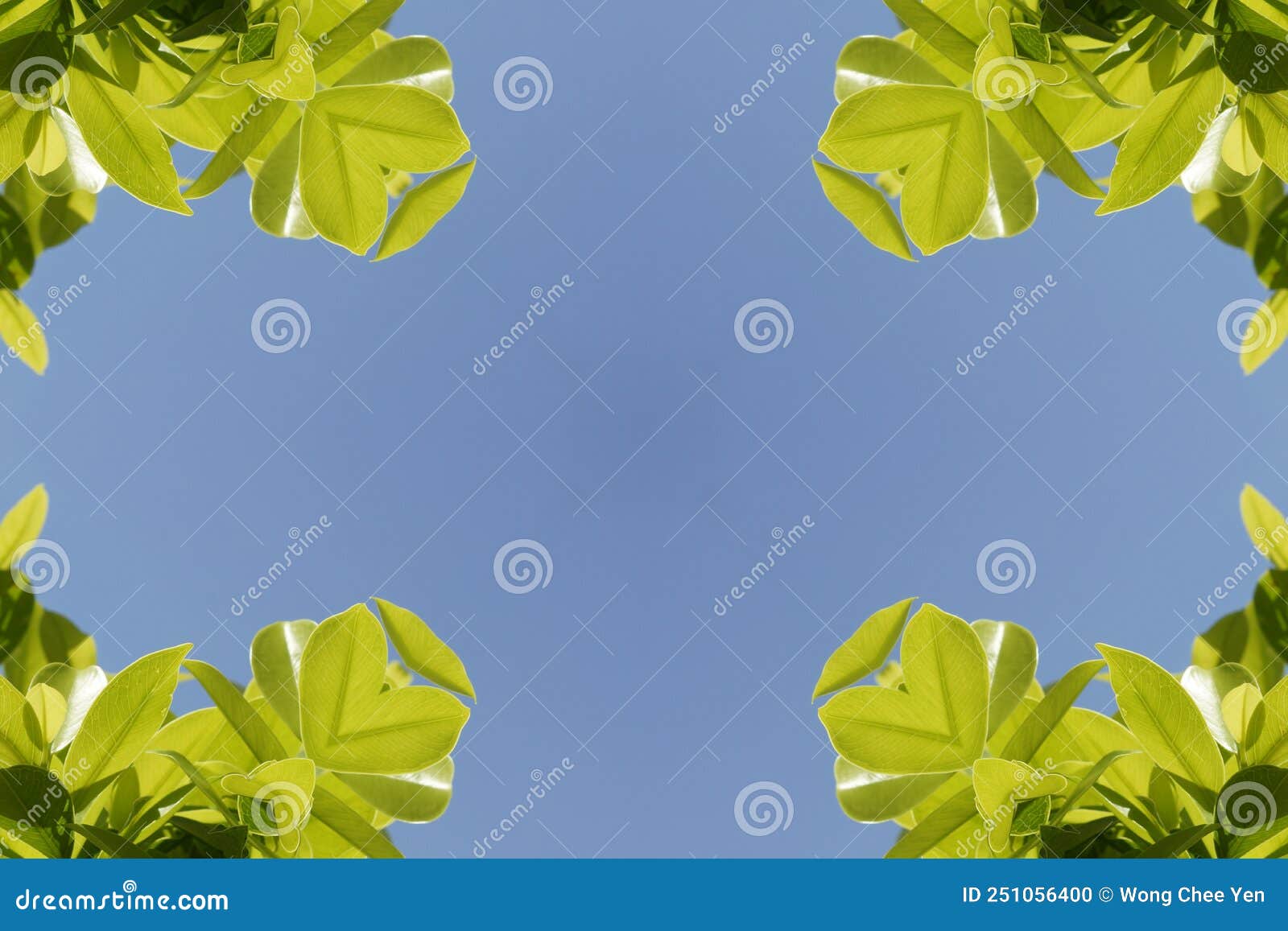 Leaves Border Background Four Sided Corners Blue Green Stock Photo ...