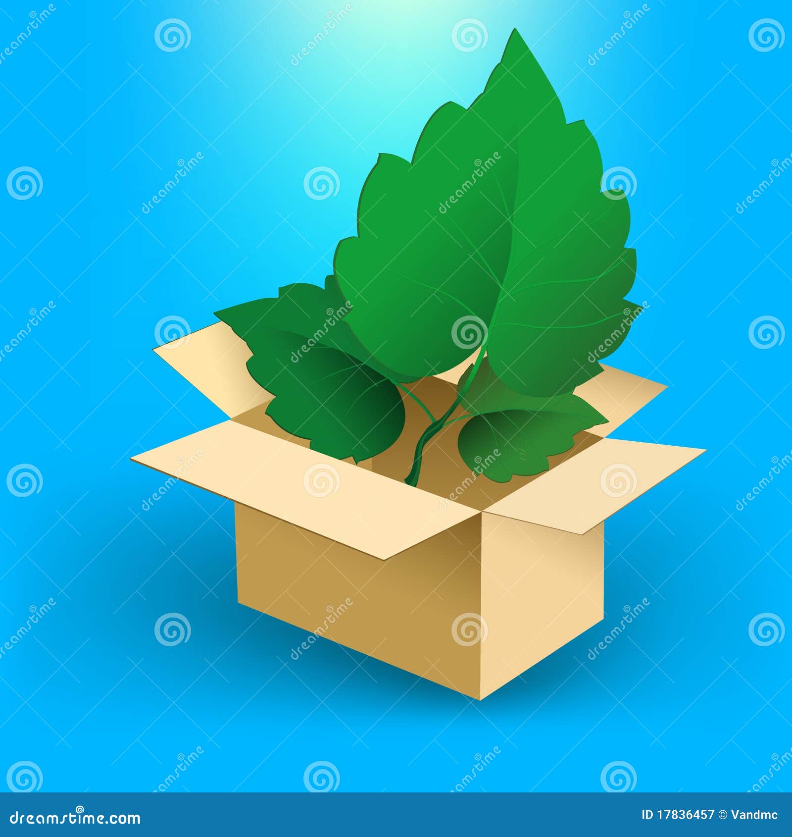 Leaves in box illustration stock vector. Illustration of biological ...