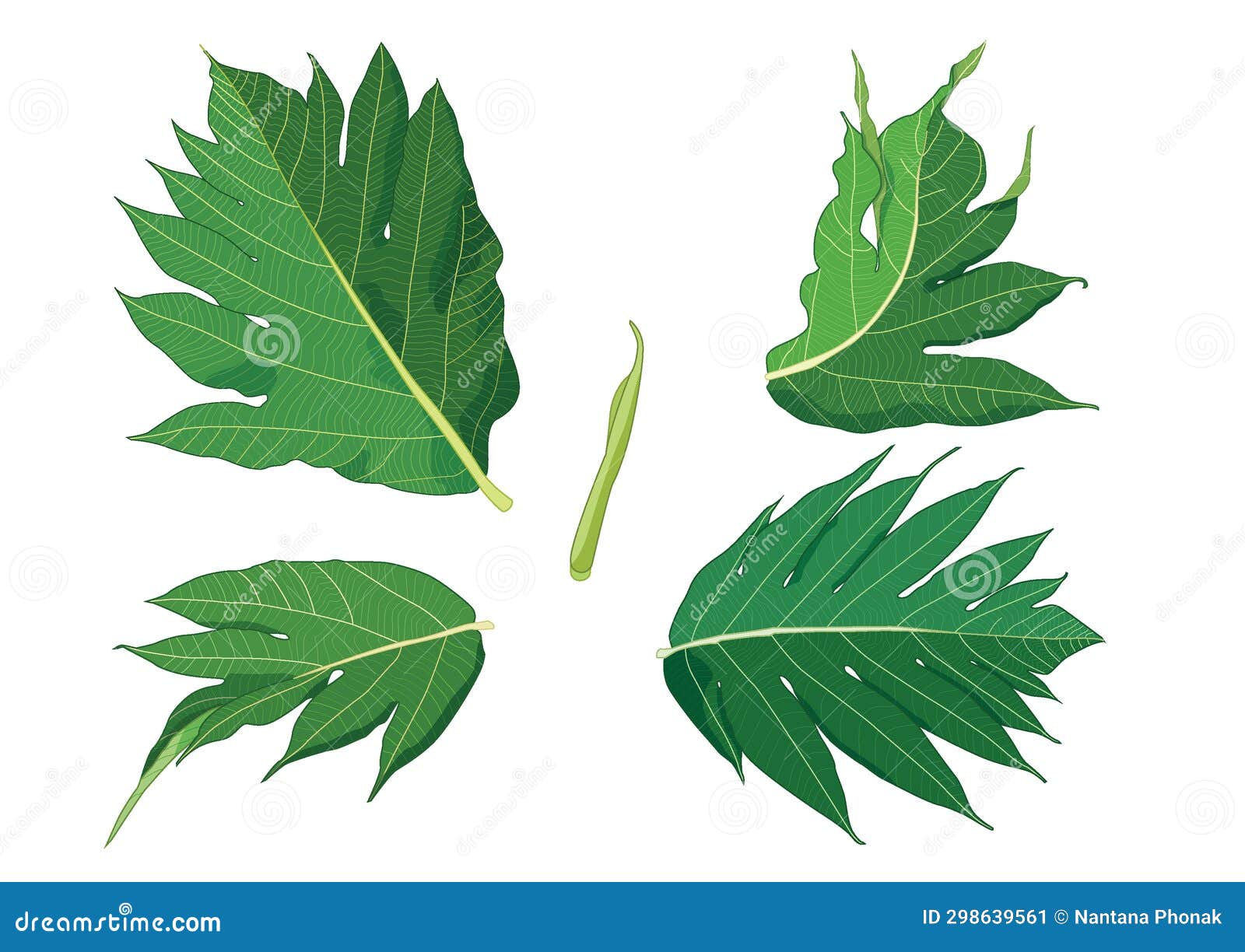Leaves Breadfruit Line Single Leaf and Leaf Pattern Black Bring To ...