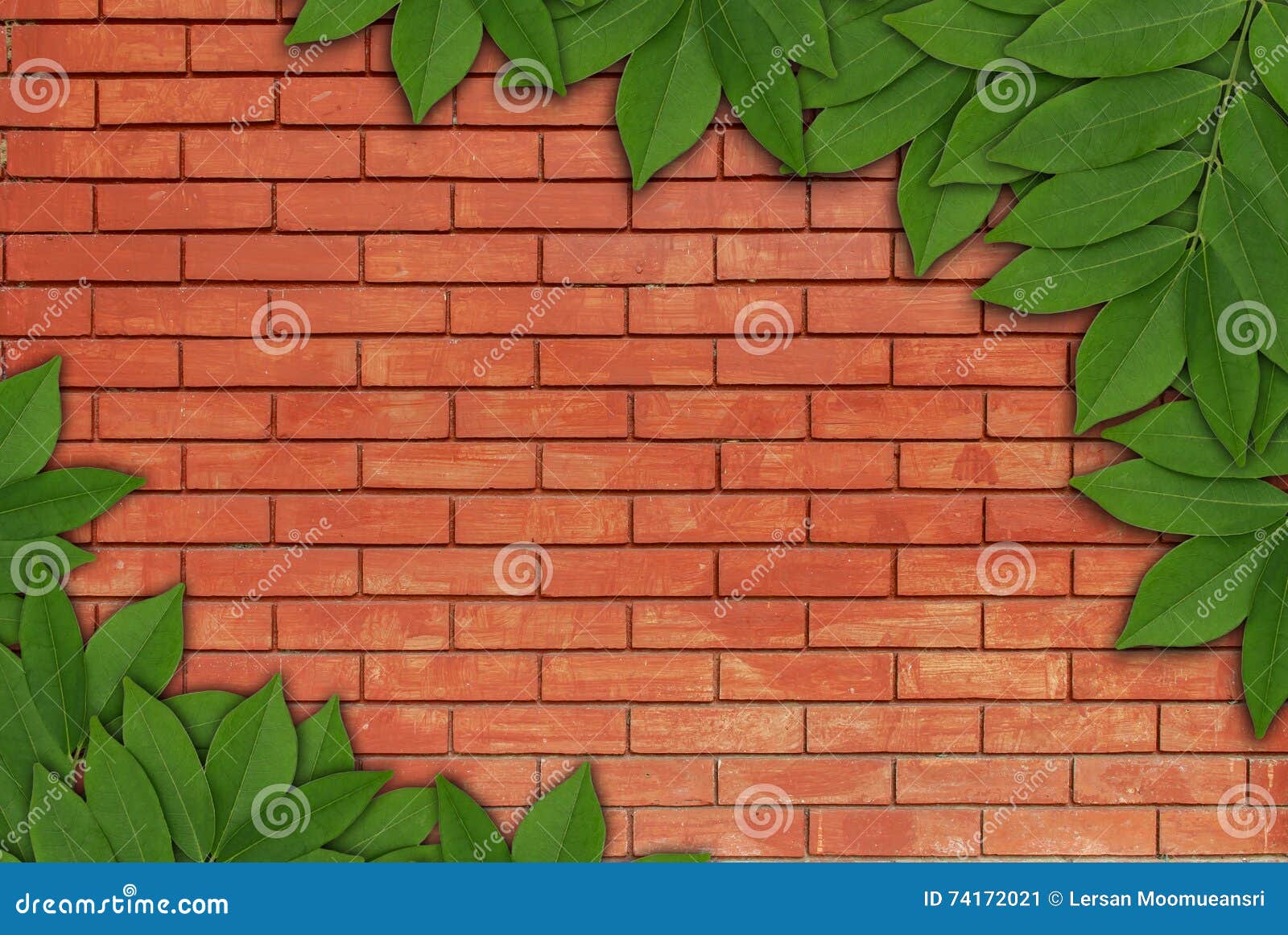 Leaves on Brick Background, Leaves Frame. Stock Image - Image of design ...