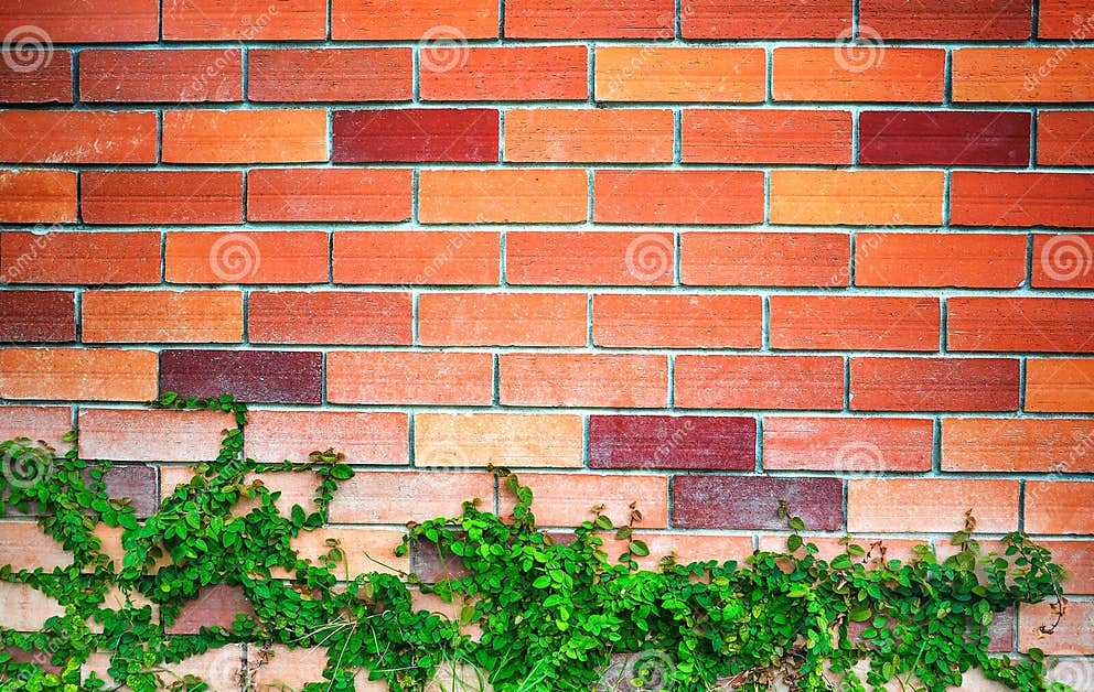 Leaves with Brick Wall Background Stock Image - Image of pieces ...